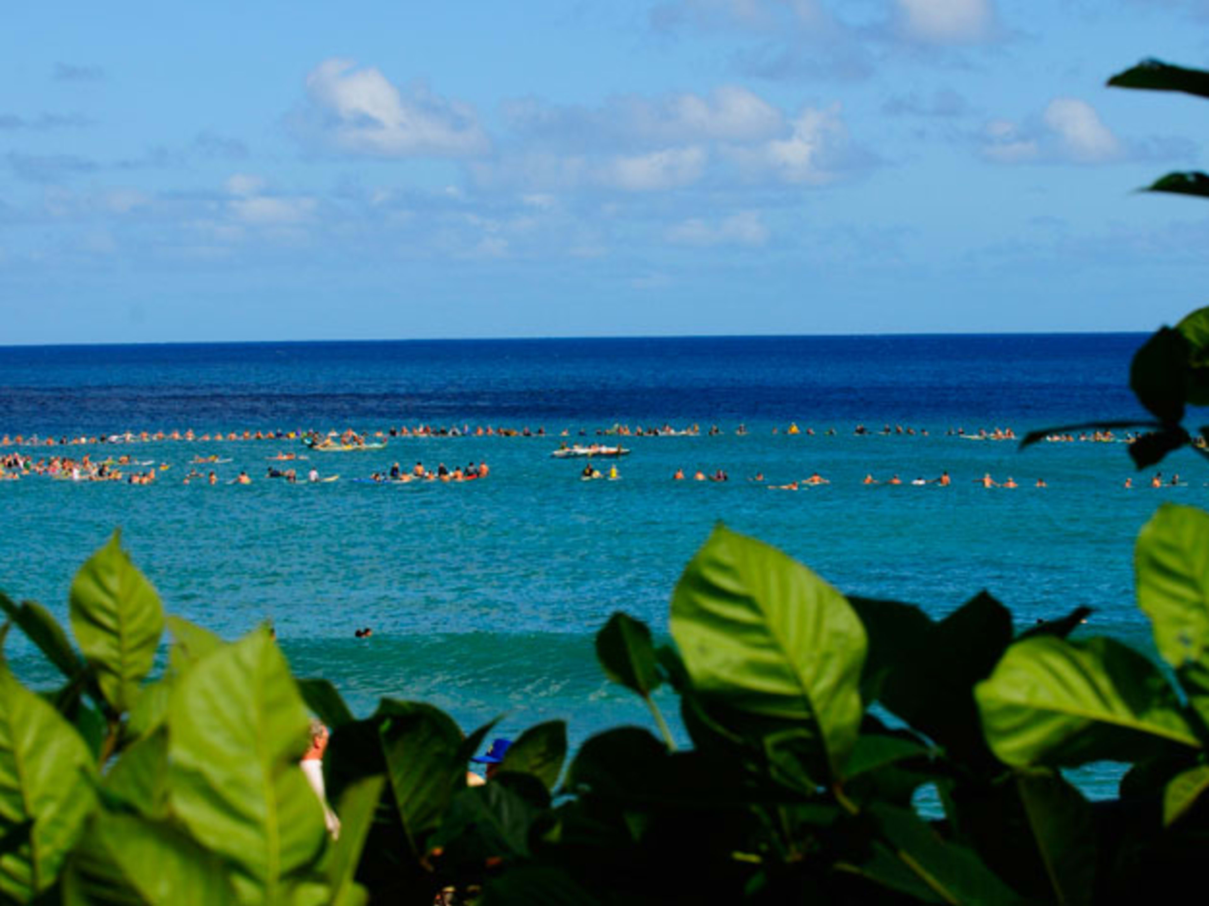 In Memory of a Modern Hawaiian Surfing Legend - Surfer