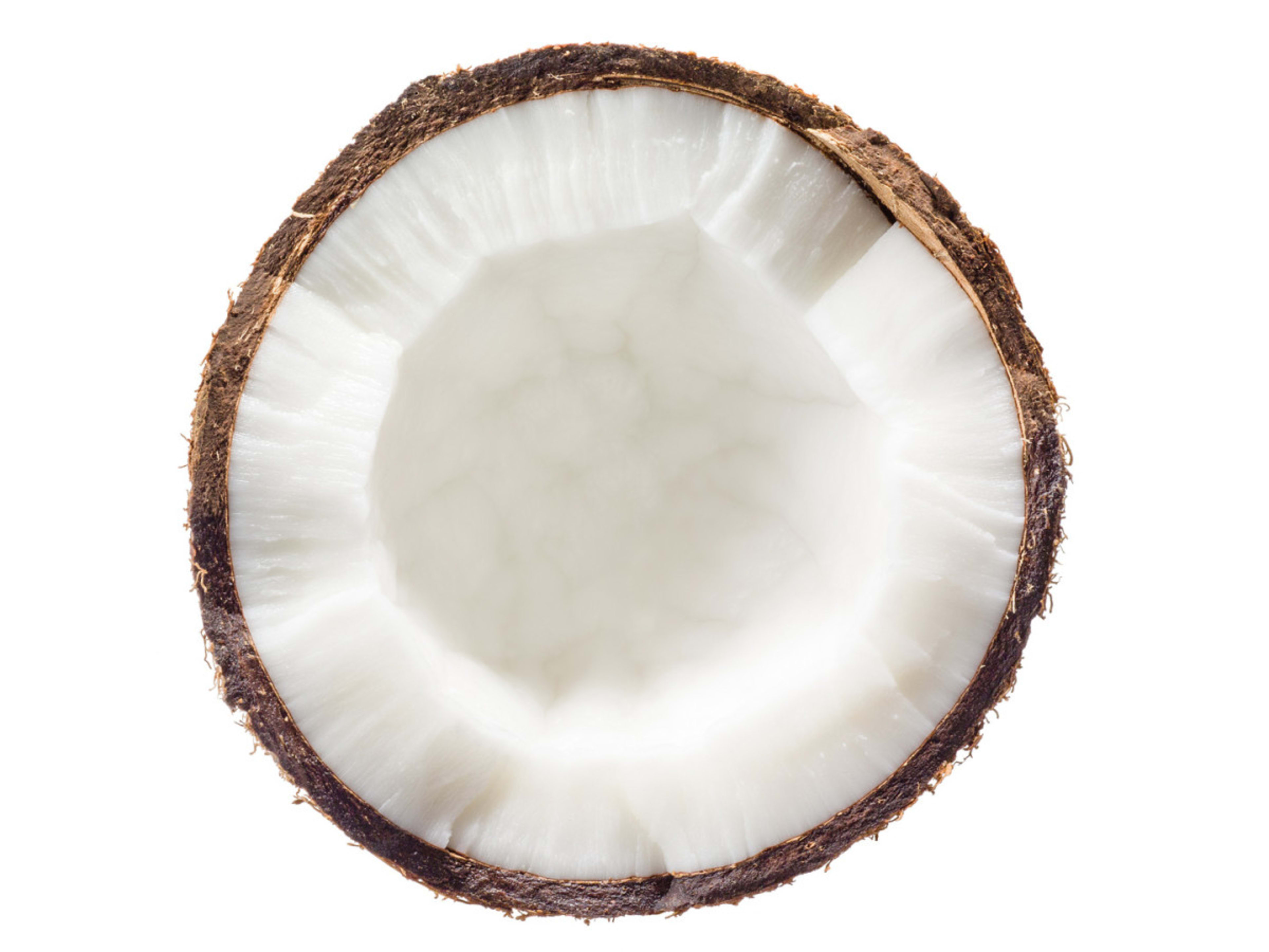100 Coconuts Helps You Distinguish Whats Real Vs Whats Fake Surfer