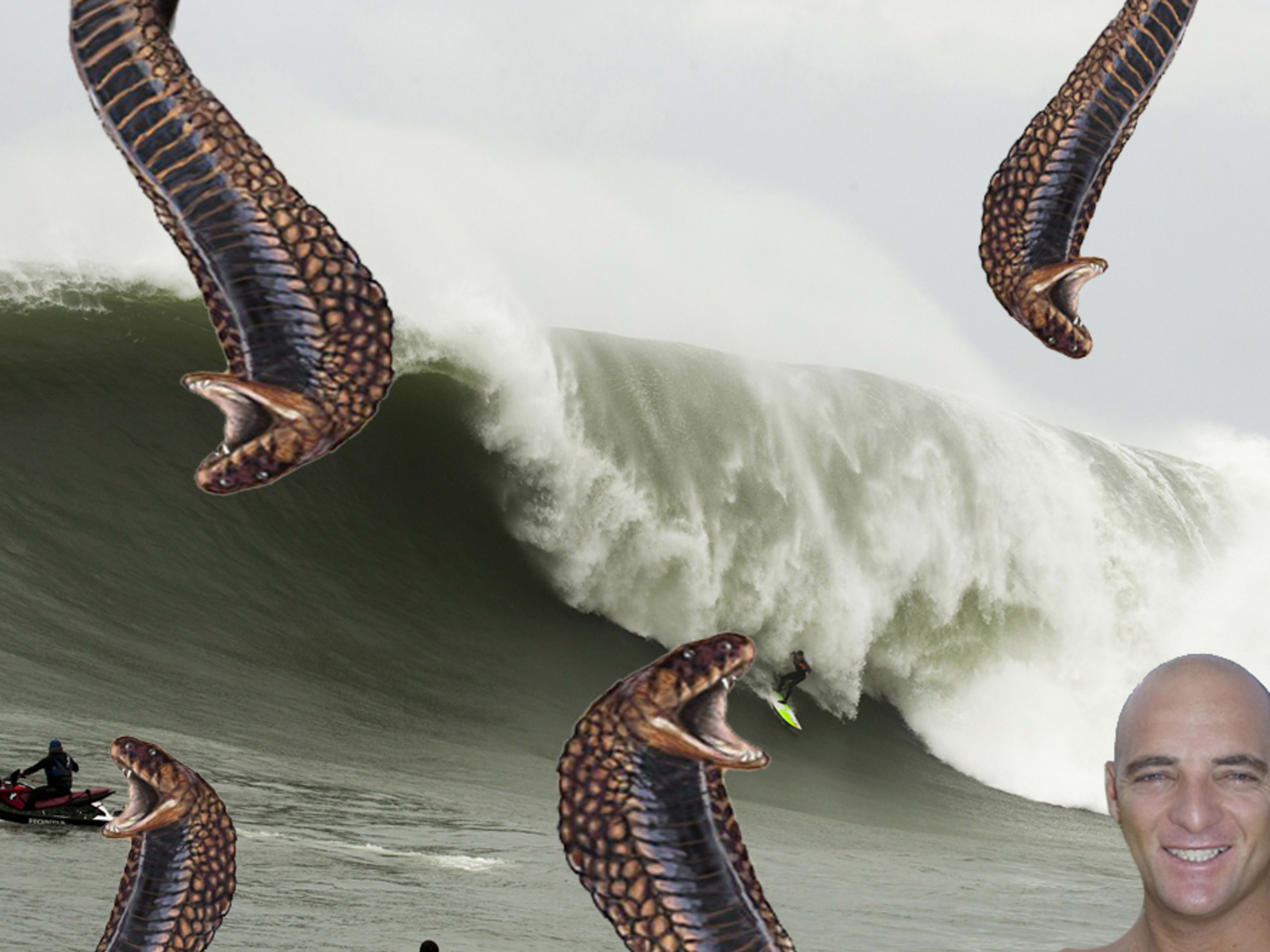 It's A Yellow Bellied Penis Snake Epidemic - Crisis bugle and all - Surfer