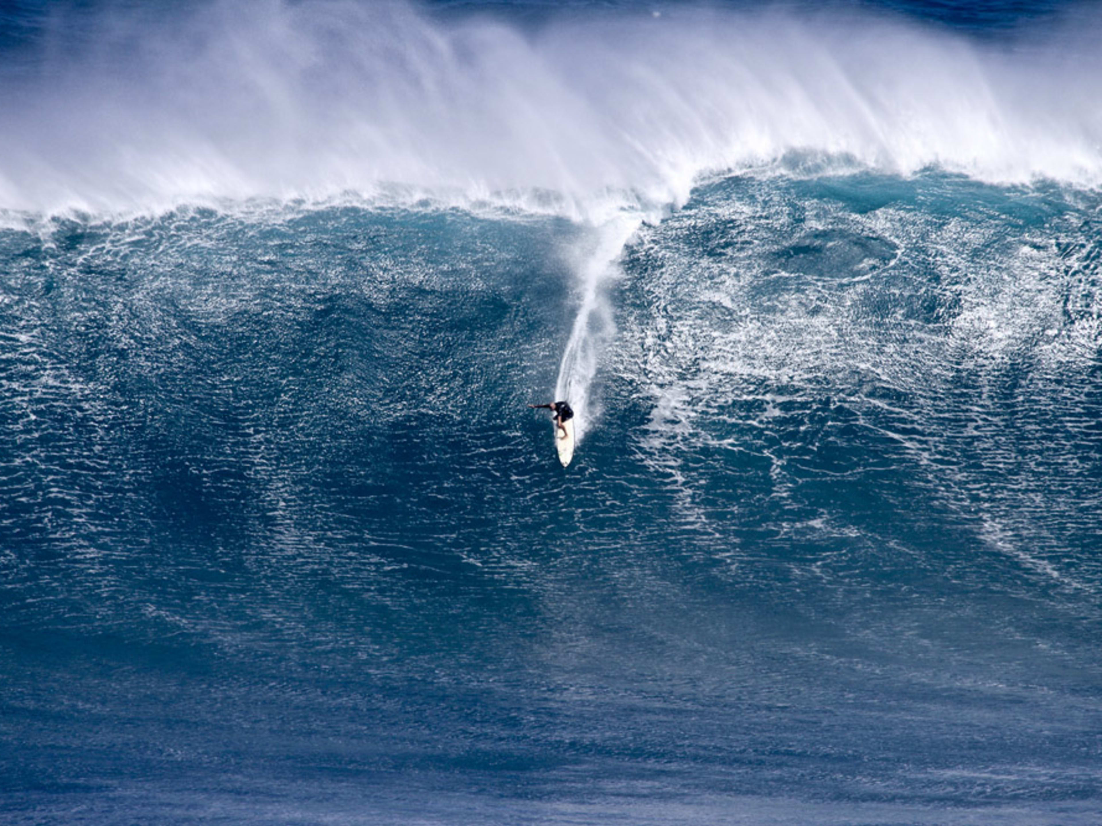 Massive Jaws - Surfer