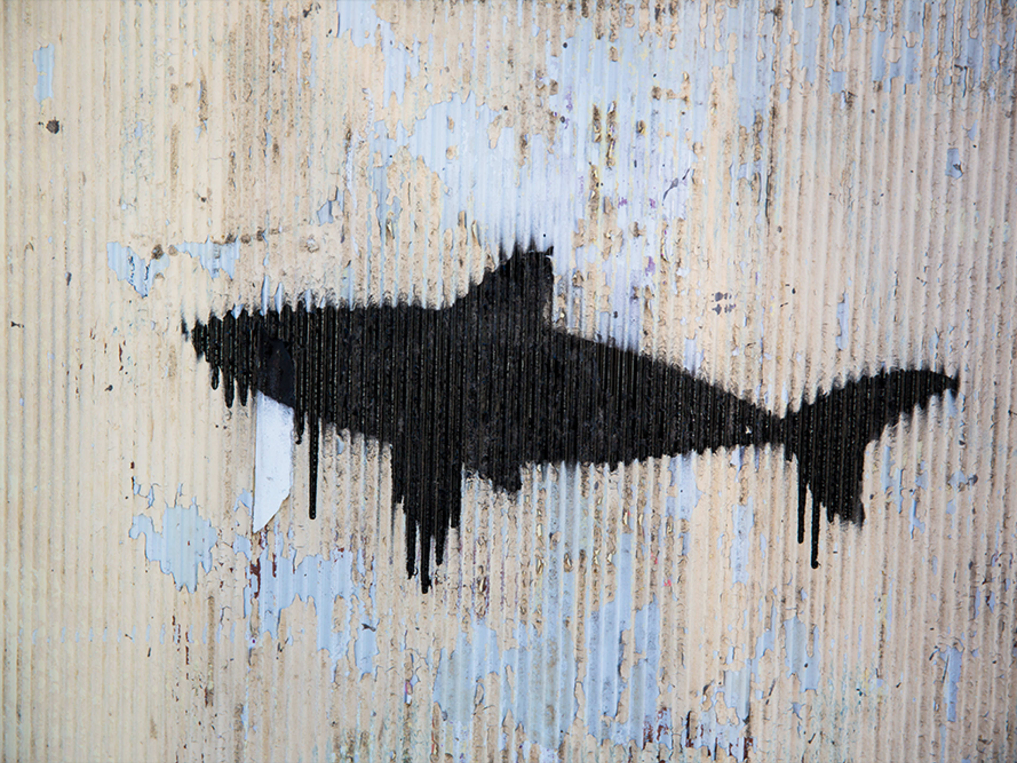 Another Fatal Shark Attack On Réunion Island - Surfer