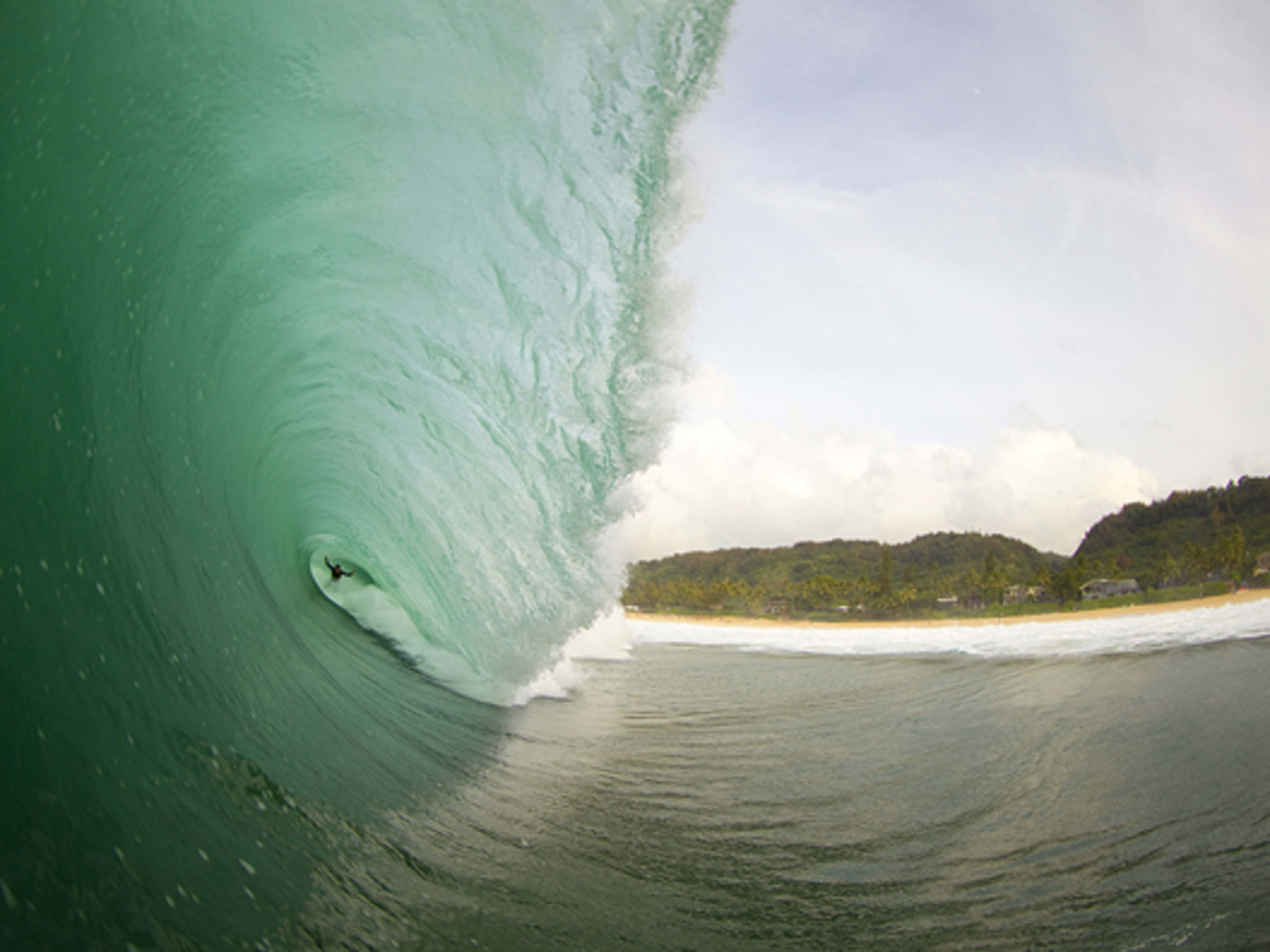 Zak Noyle | Hawaii - Surfer