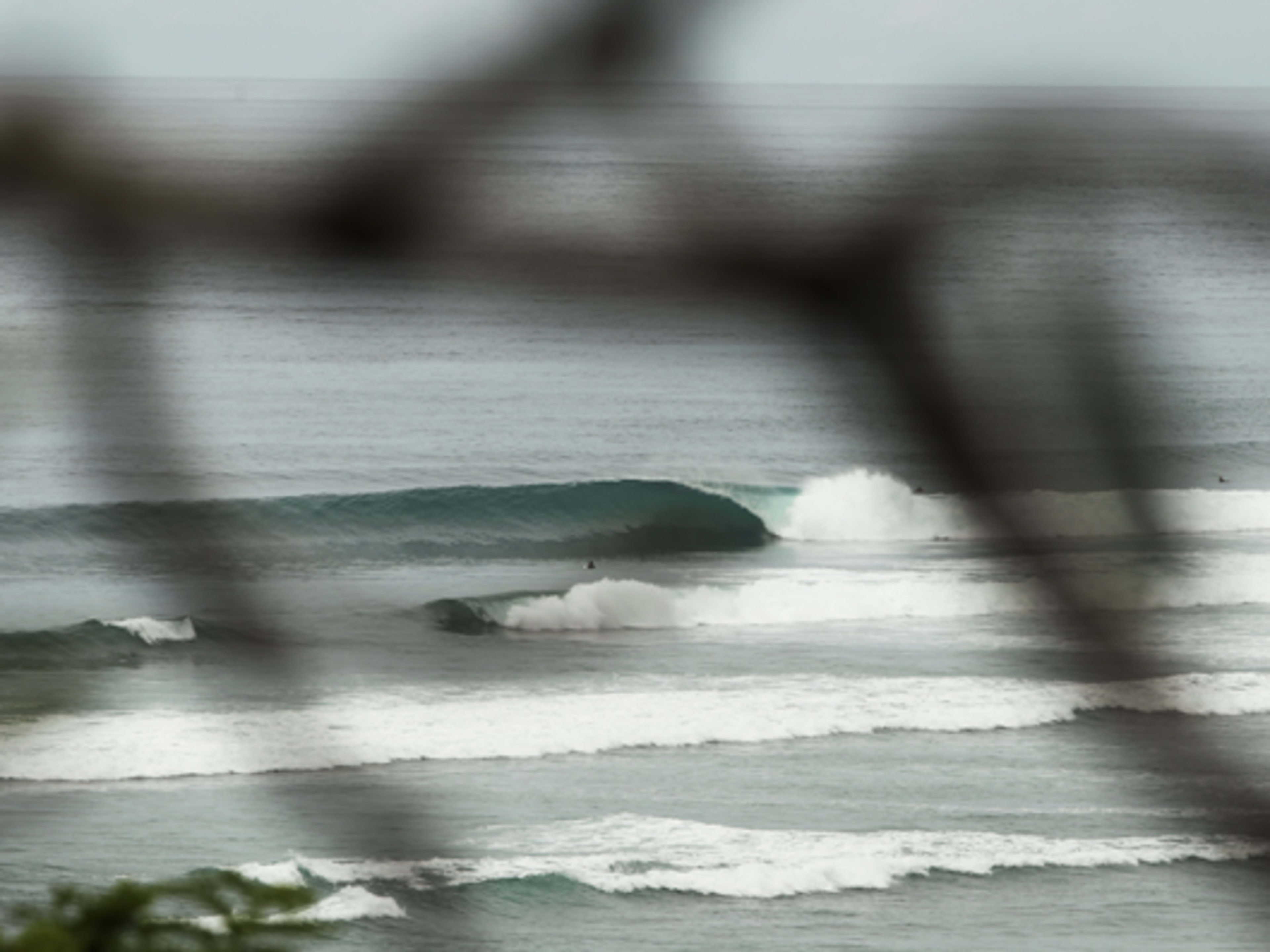 Jason Childs | Wet Season - Surfer