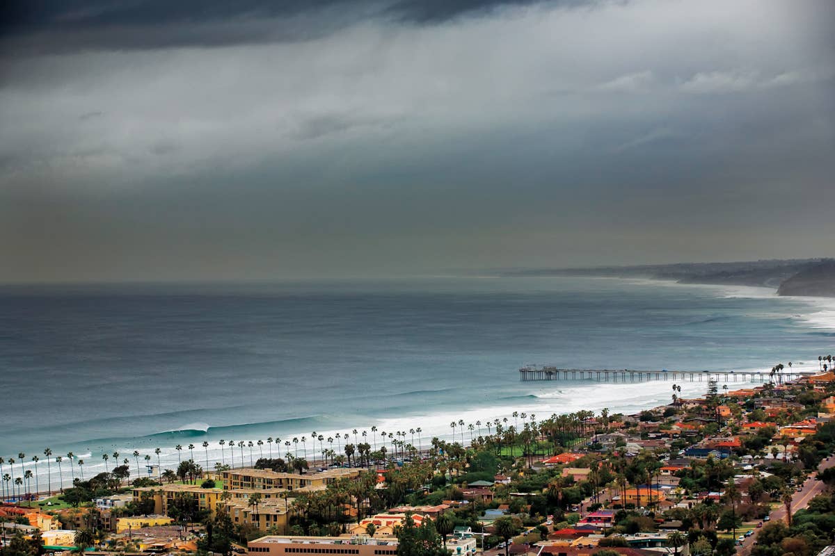 The Surf-Specific College Degree - Surfer