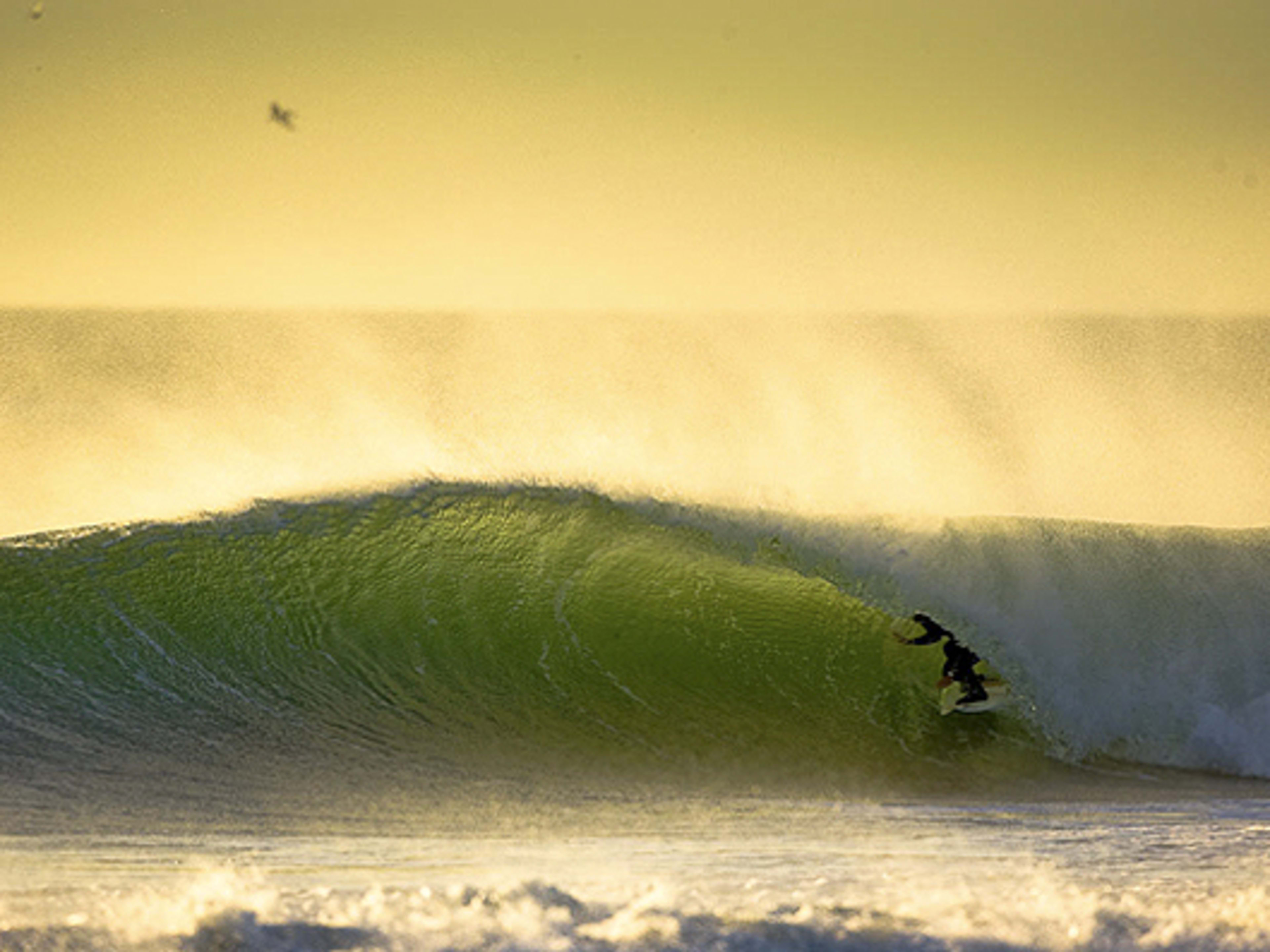 Chris Burkard | Connor Coffin - Surfer
