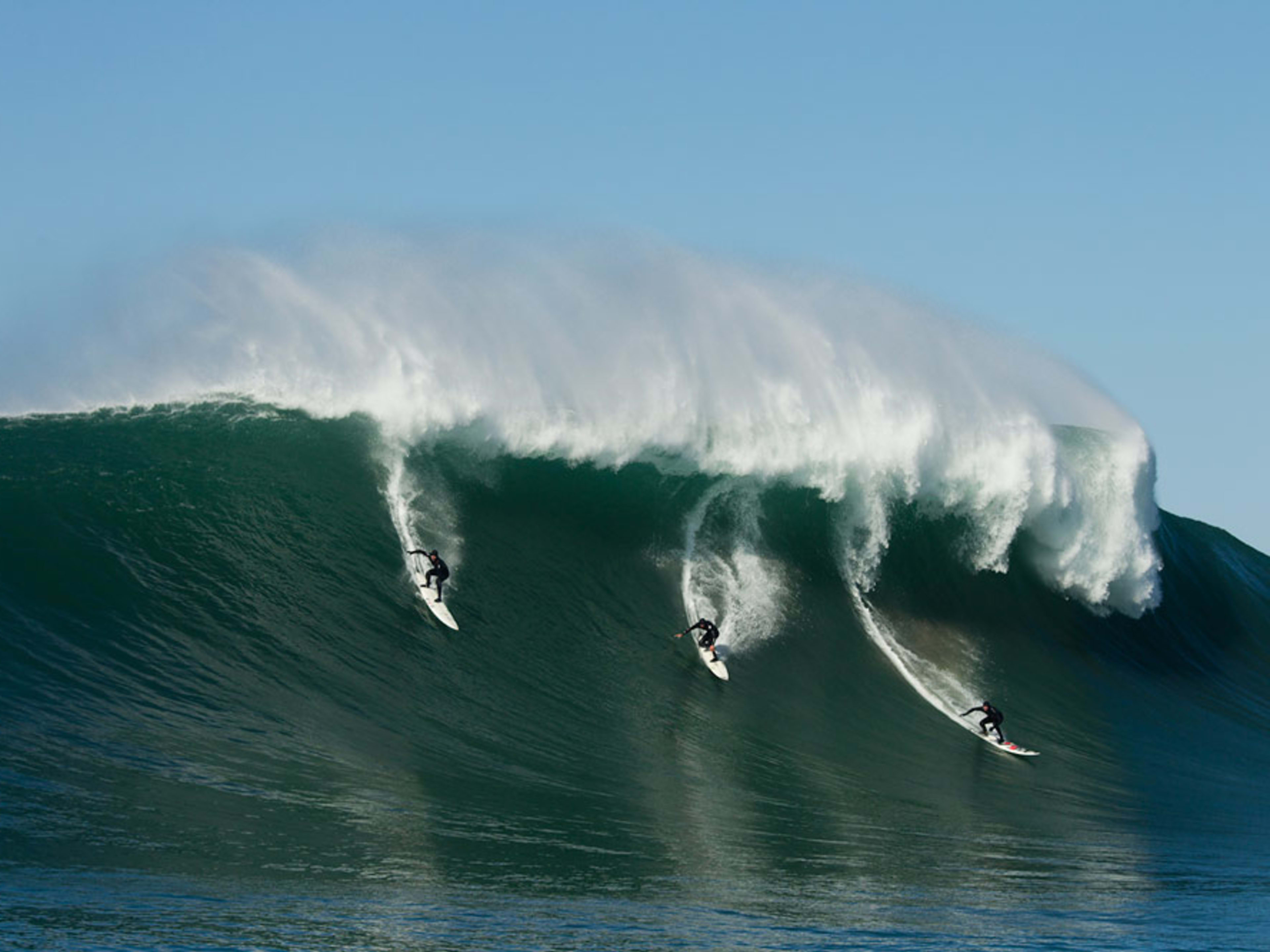 Beautiful Monsters - Surfer