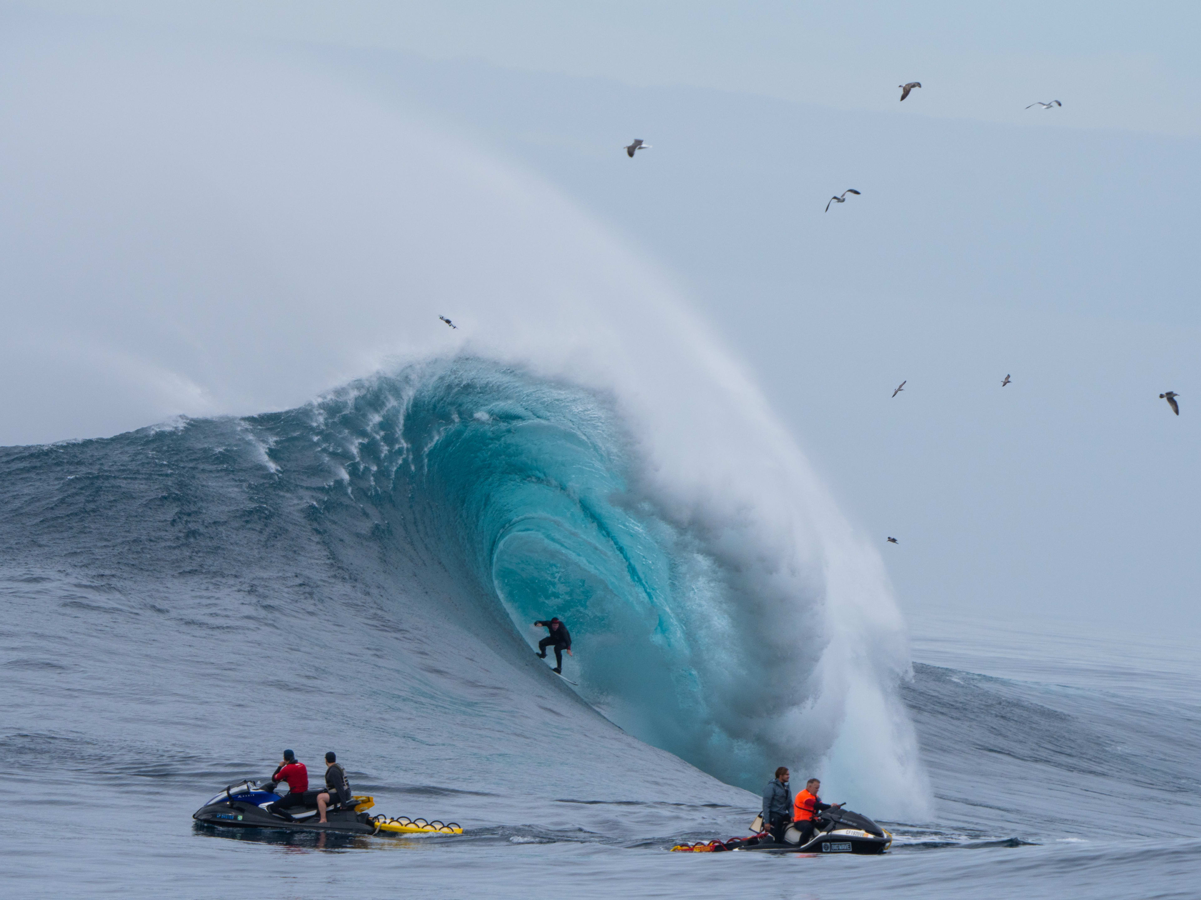 Big-Wave Surfer Justine Dupont On Motherhood and Claiming the Ride of ...