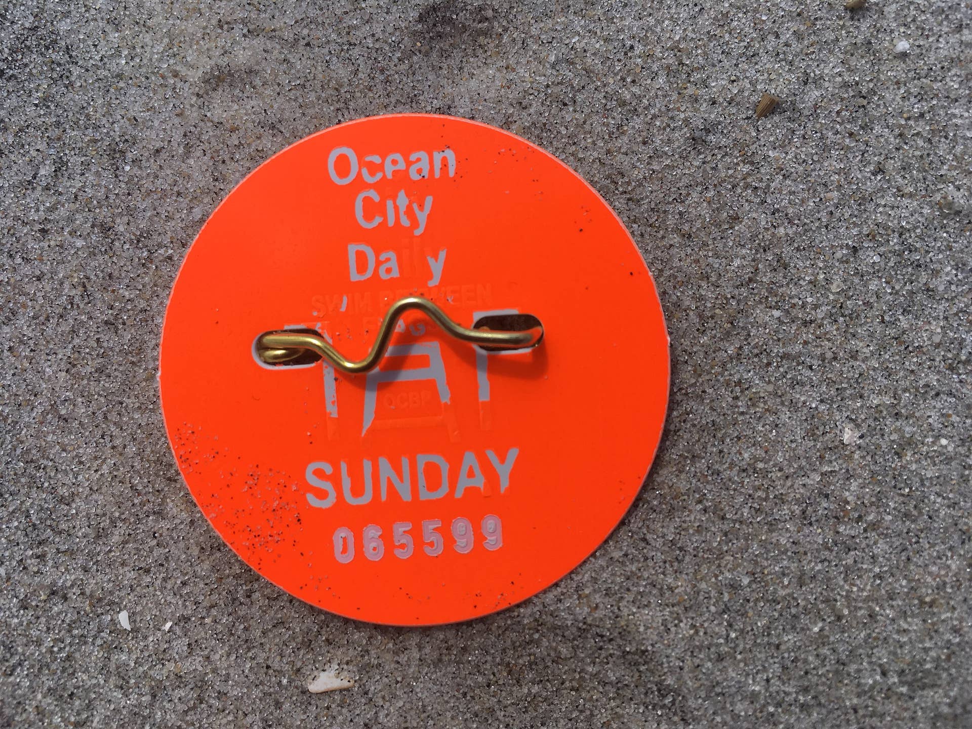 Beach Badge Requirements Could Be A Thing of the Past for Surfing New ...