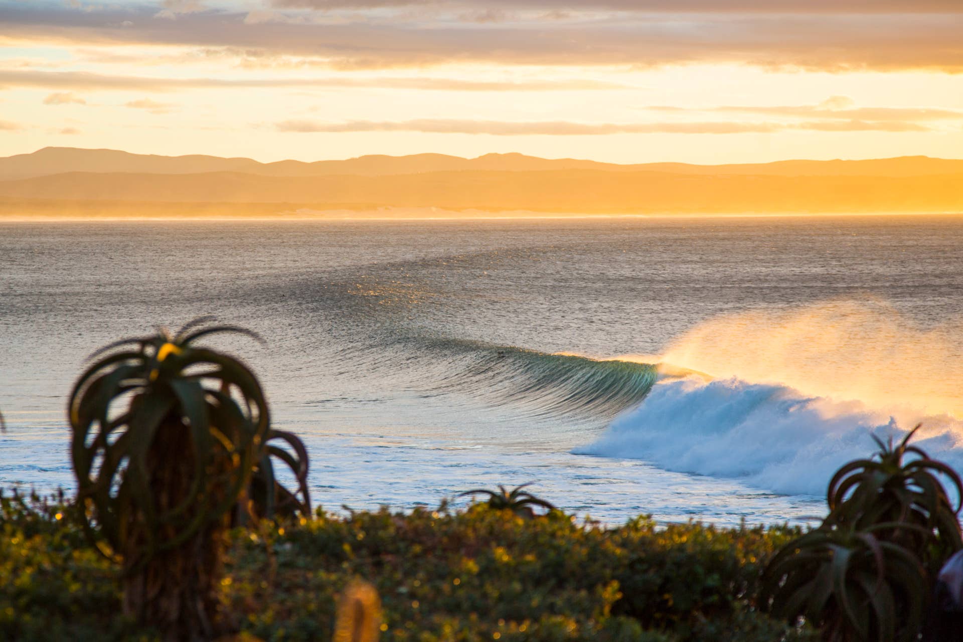 Snapper Rocks, Jeffreys Bay, & The Championship Tour in 2025 - Surfer