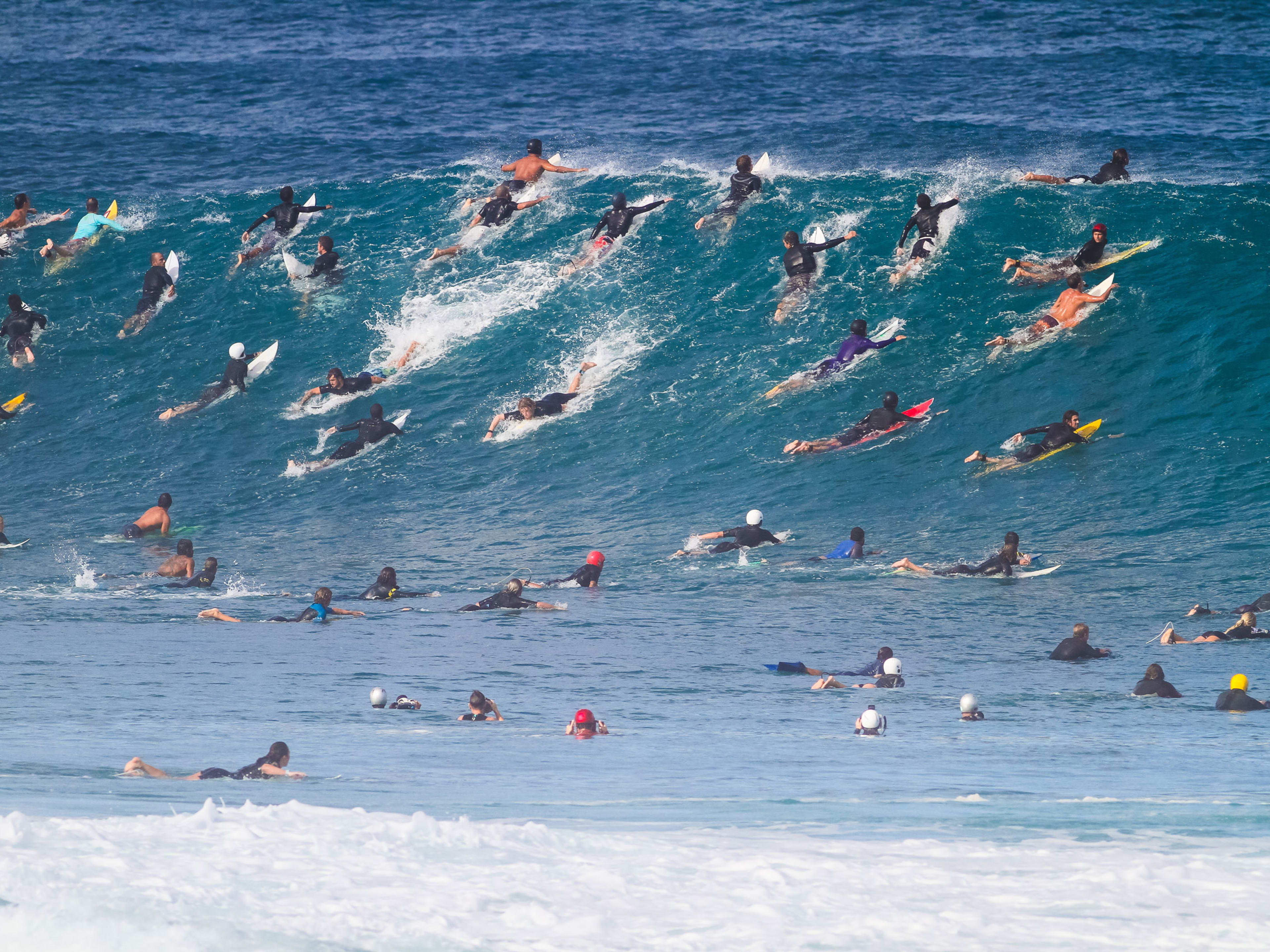 Hey Dibi: What's the Biggest Myth of the Surf Industry? - Surfer