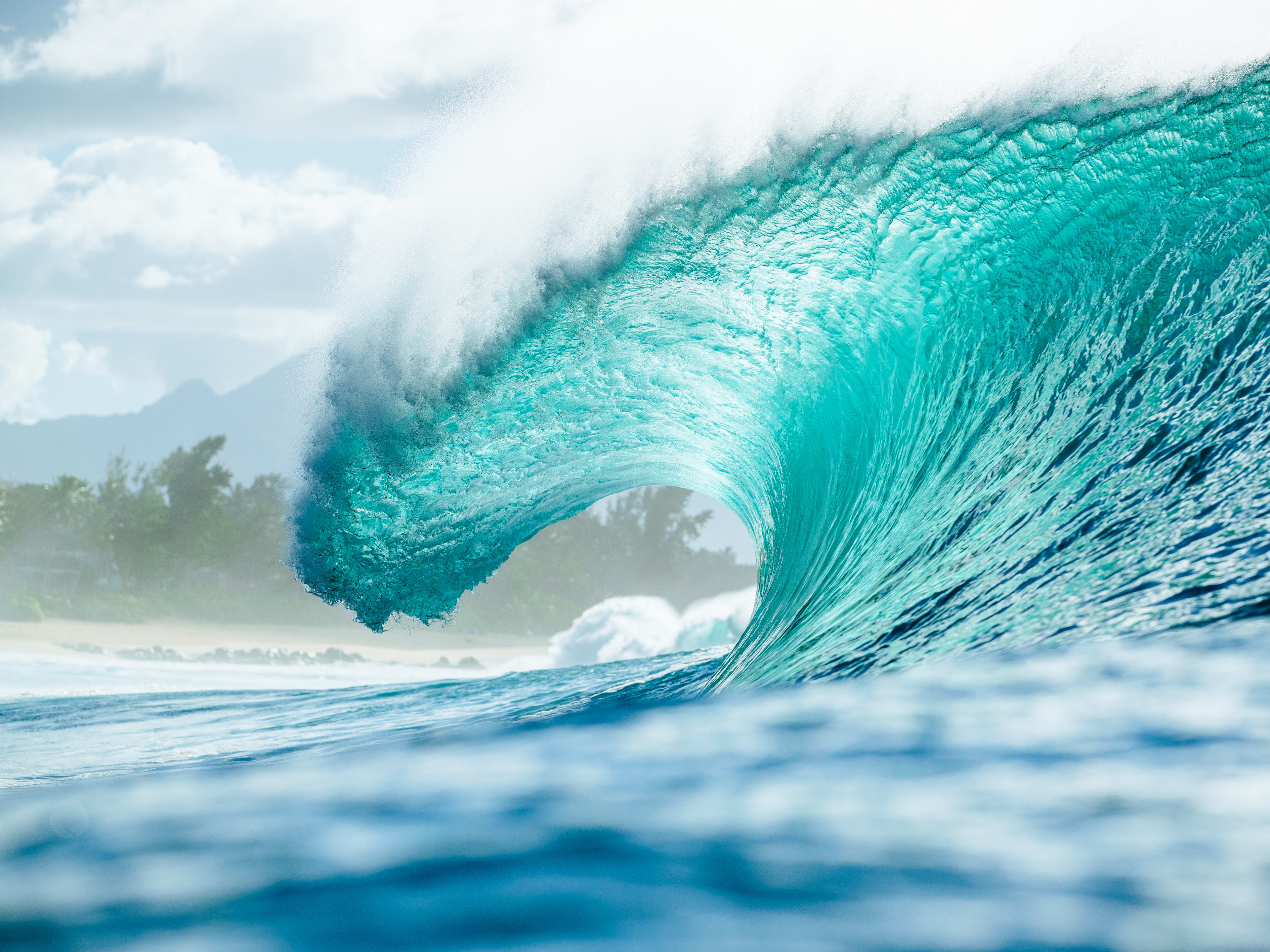 Watch Live: World Surf League Kicks Off at Pipeline - Surfer