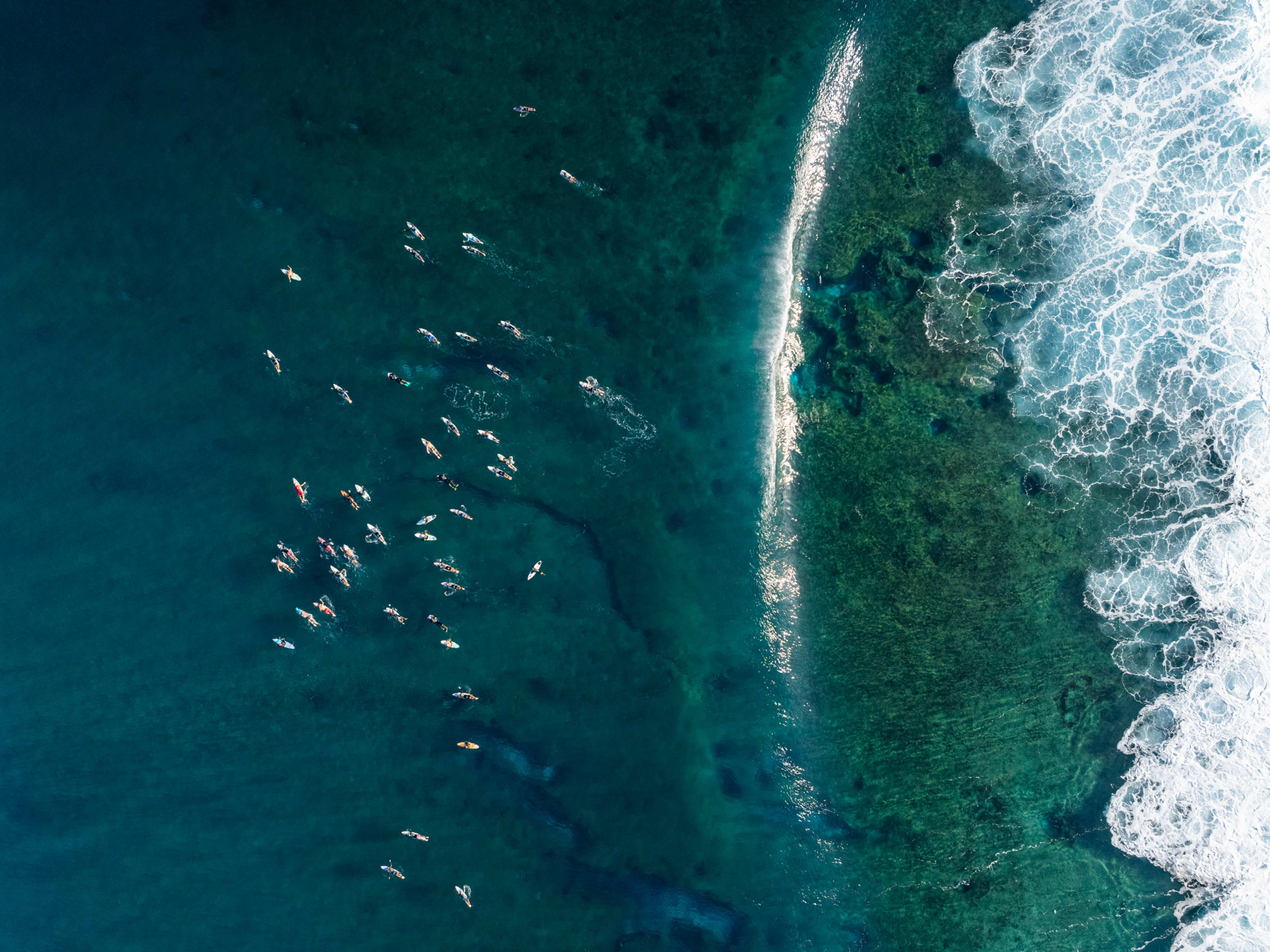 Best Pipeline Season Ever? (Gallery) - Surfer