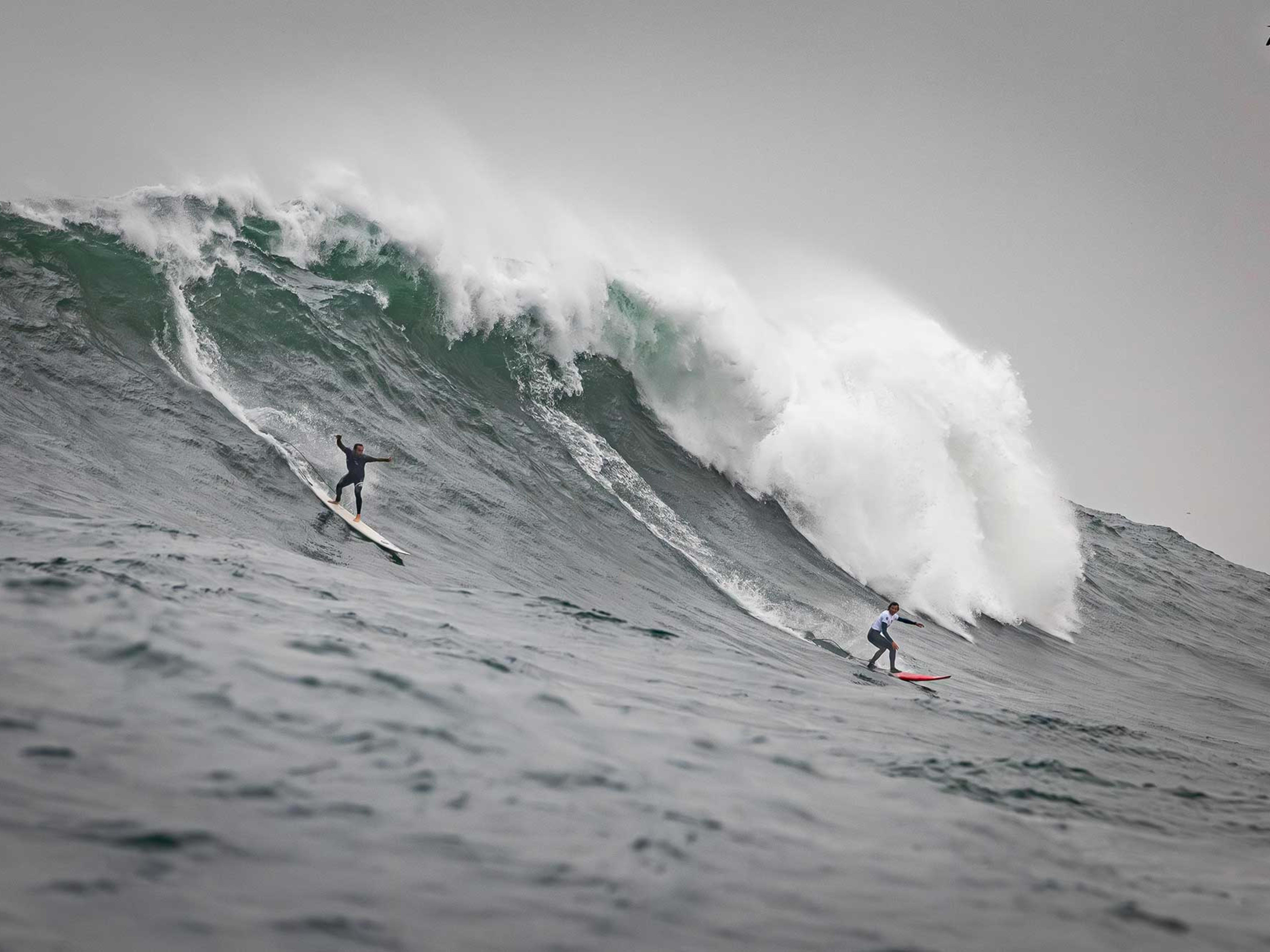 Big Wave Surfing News - Surfer