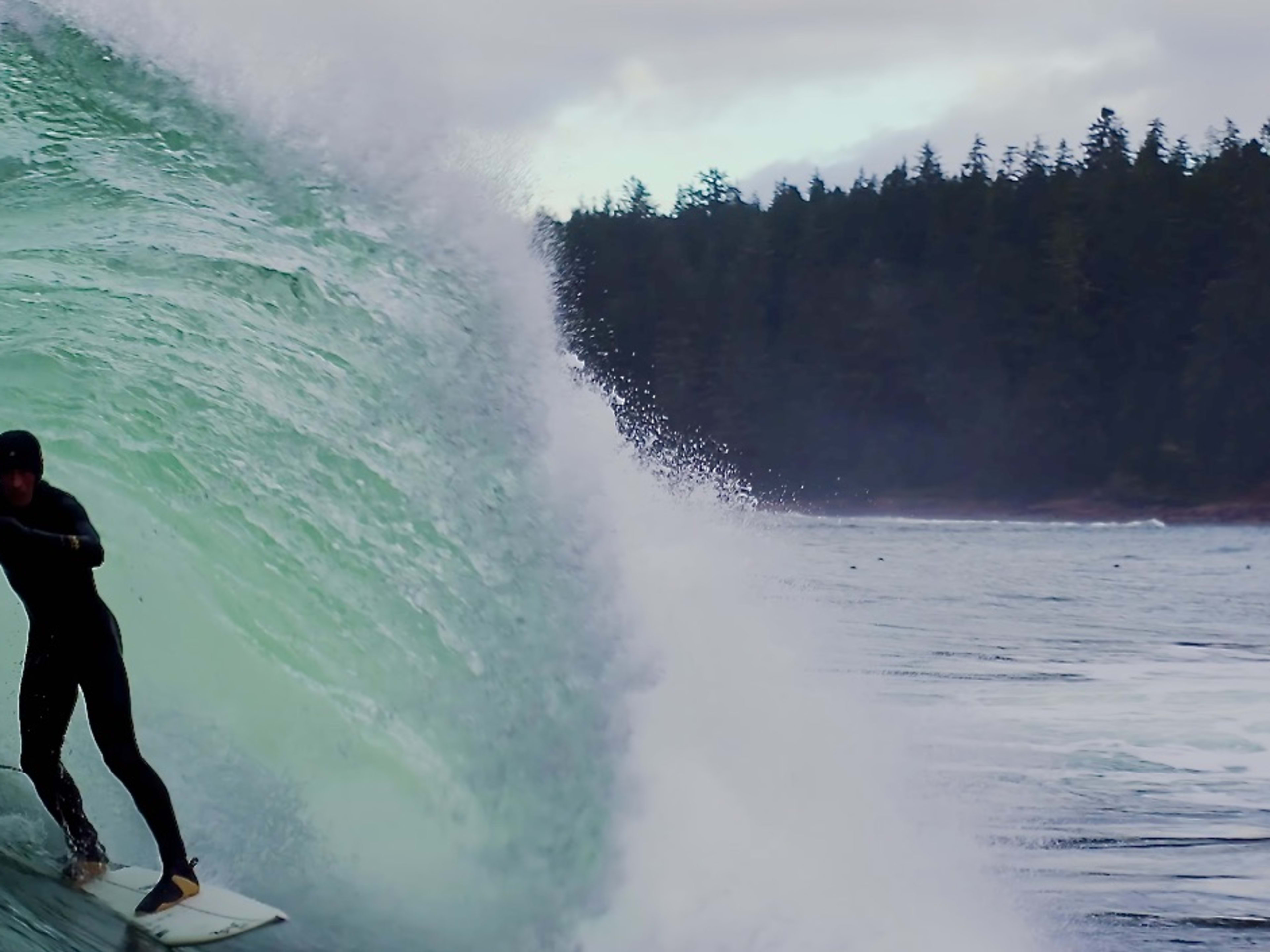 Surf Culture: History, Art, Travel, and More - Surfer