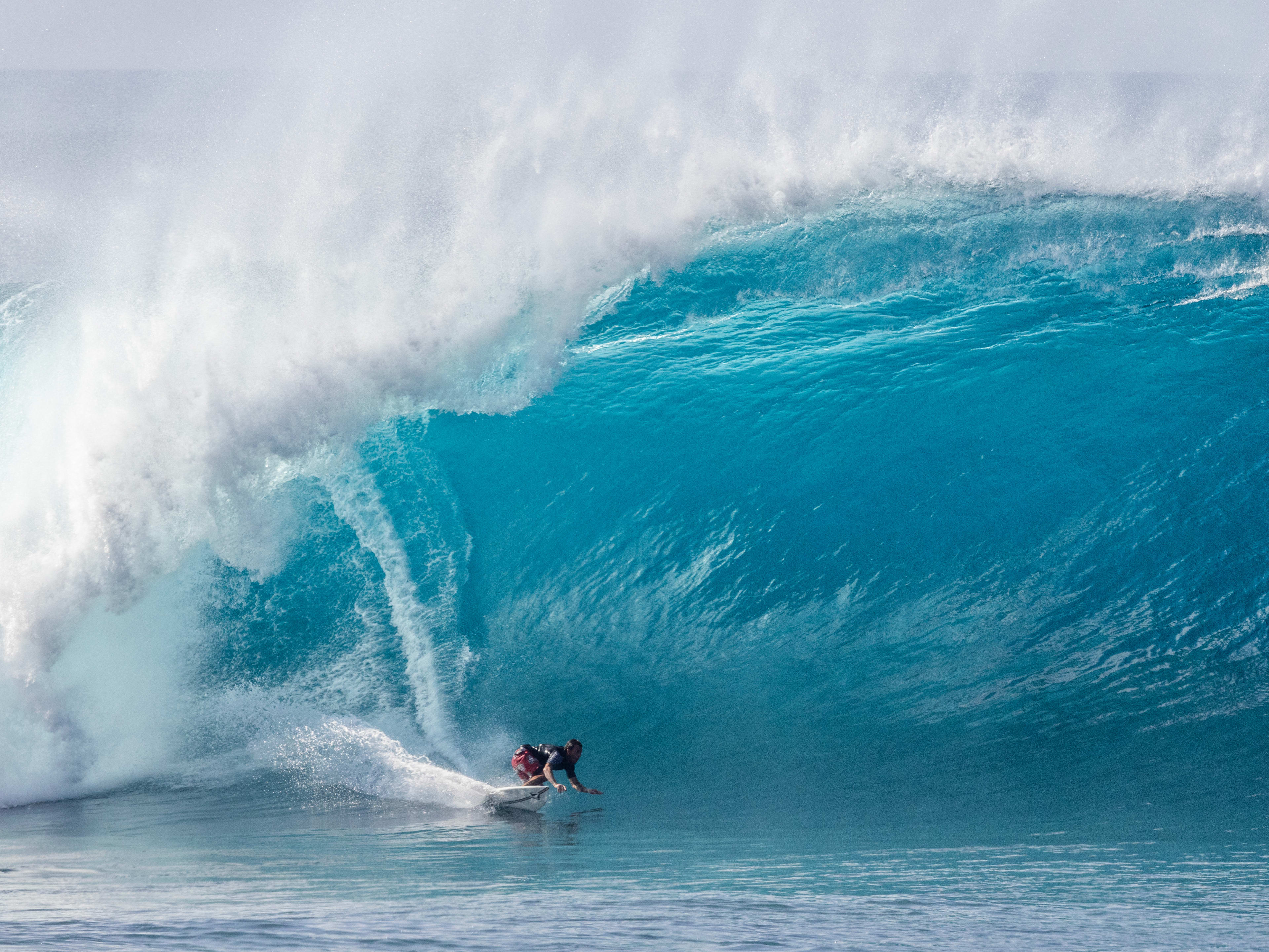 Surf Culture: History, Art, Travel, and More - Surfer