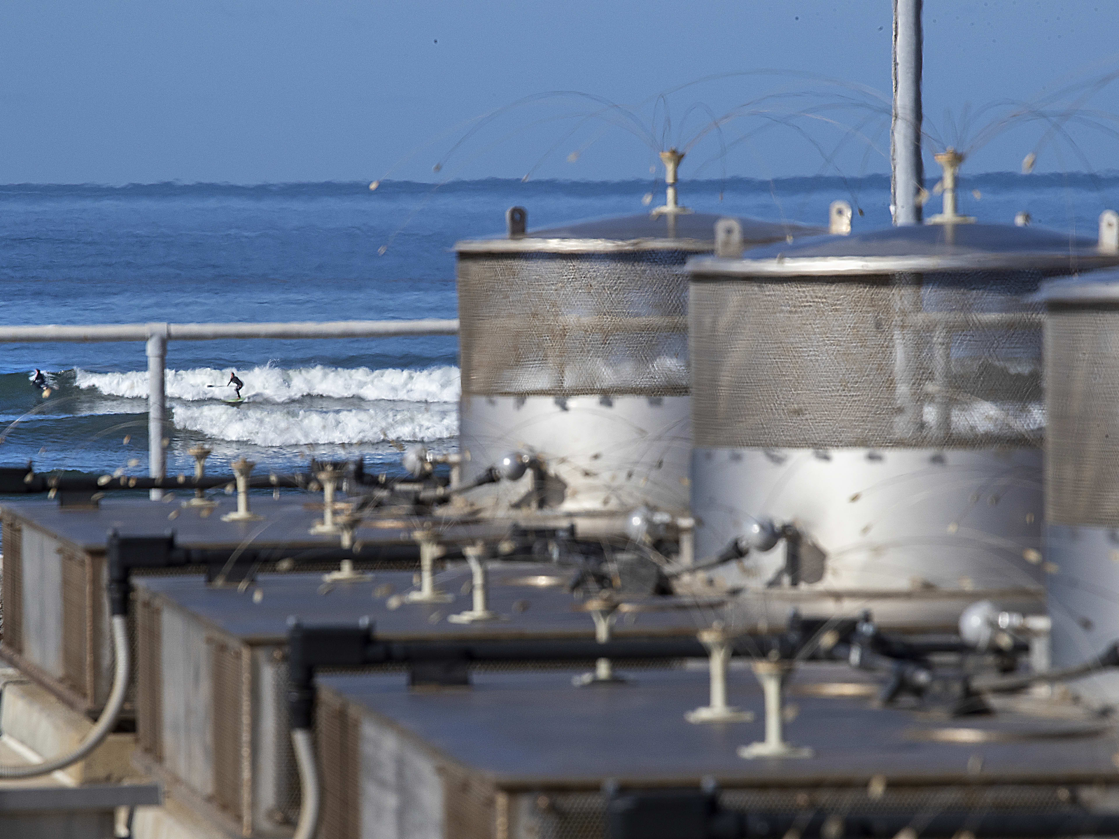 Alarming News from Surfing’s Favorite Nuclear Waste Facility - Surfer