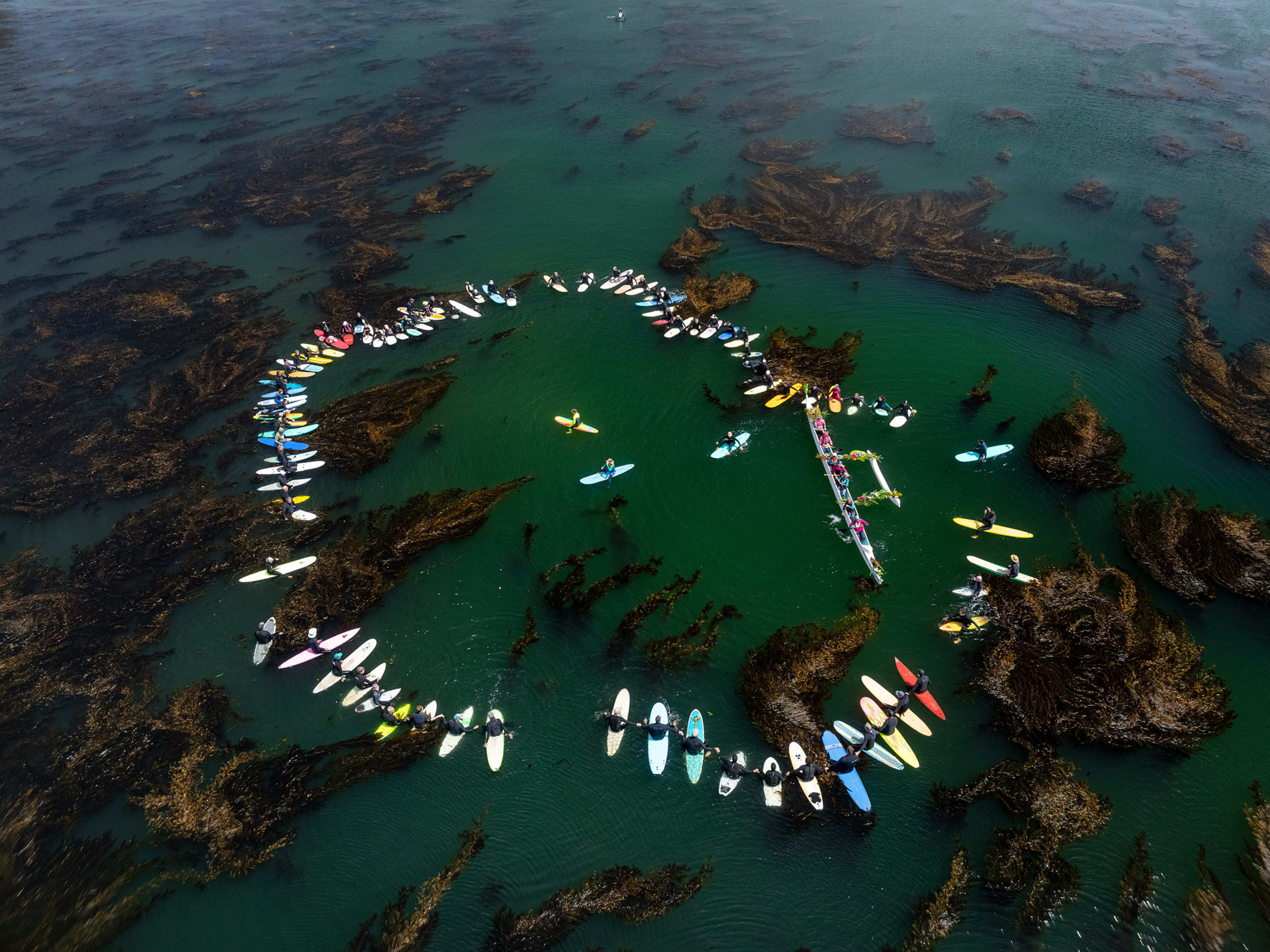 Iconic Surfer, Inventor Doc Scott Honored in Santa Cruz (Photos) - Surfer