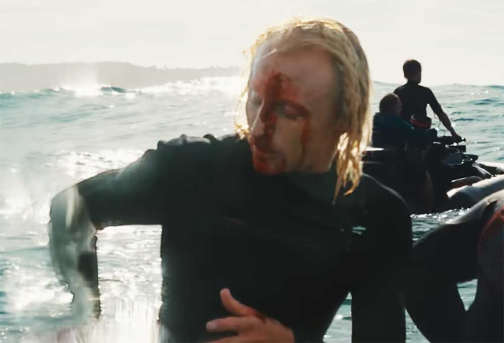 Big Wave Surfing News - Surfer