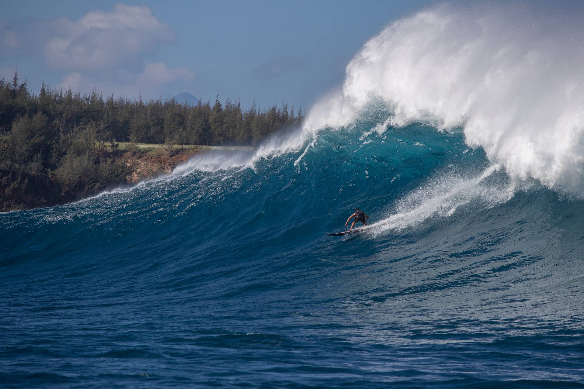 Big Wave Surfing News - Surfer