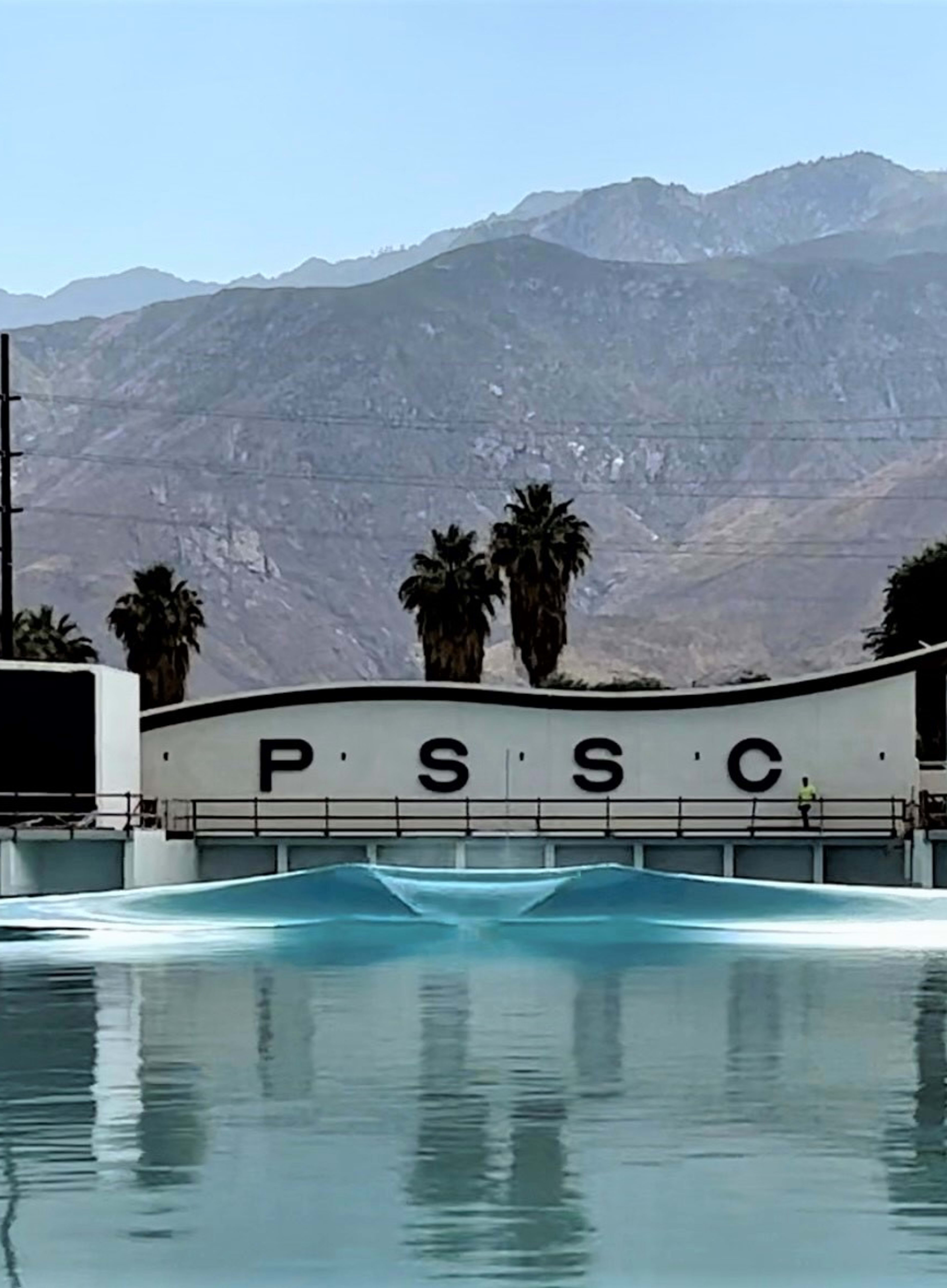 Palm Springs Surf Club for Dummies