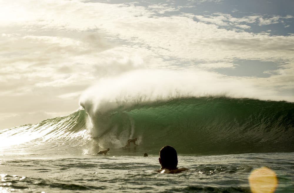 The Pipeline - Surfer