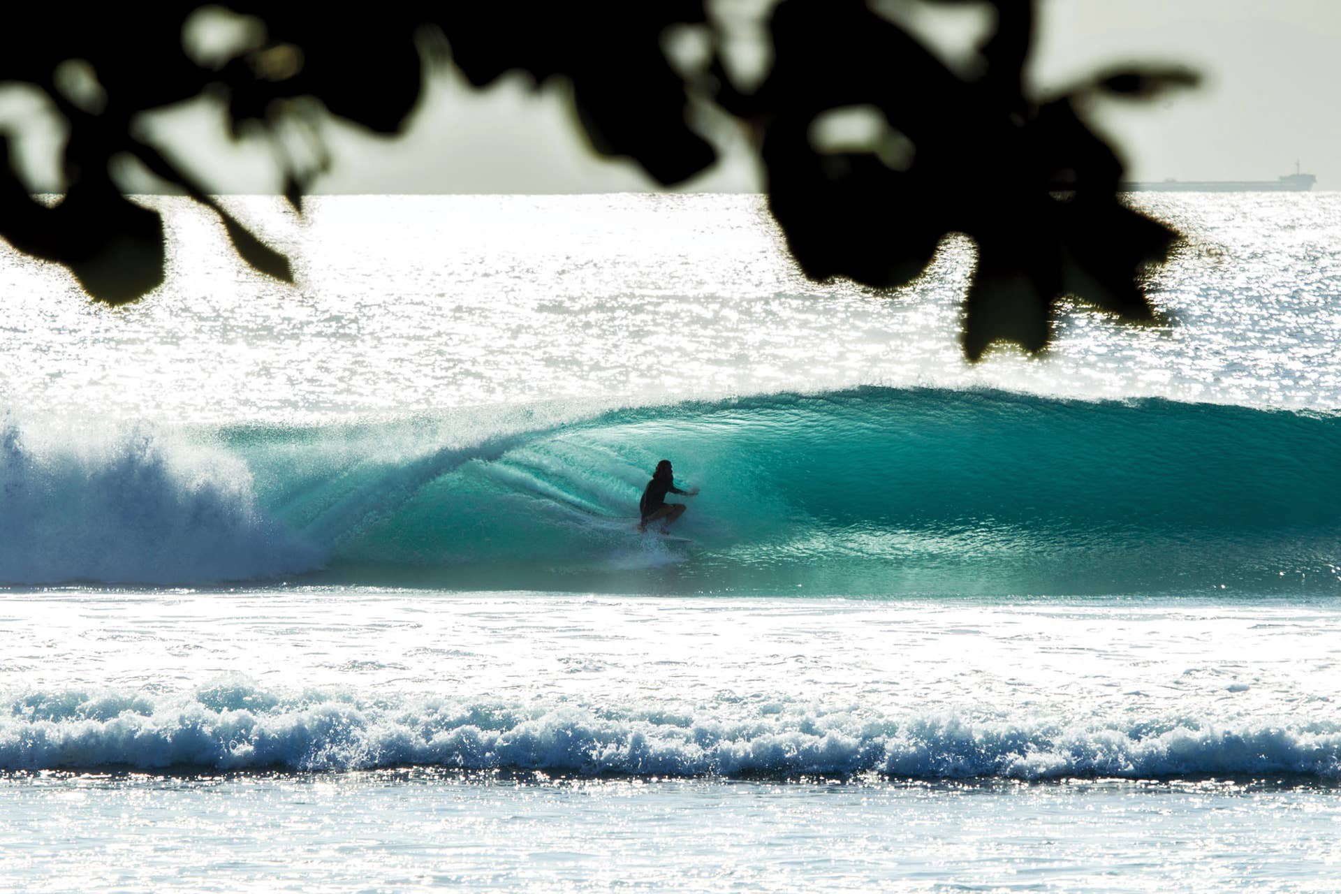 Torren Martyn: Twin-Fin Experimentalist Redefines Surfing - Surfer