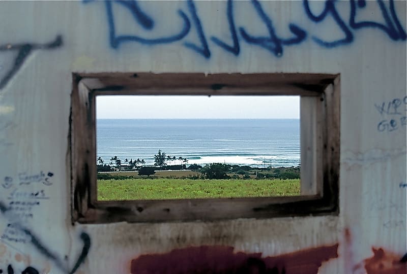 Ten, Perched - Surfer