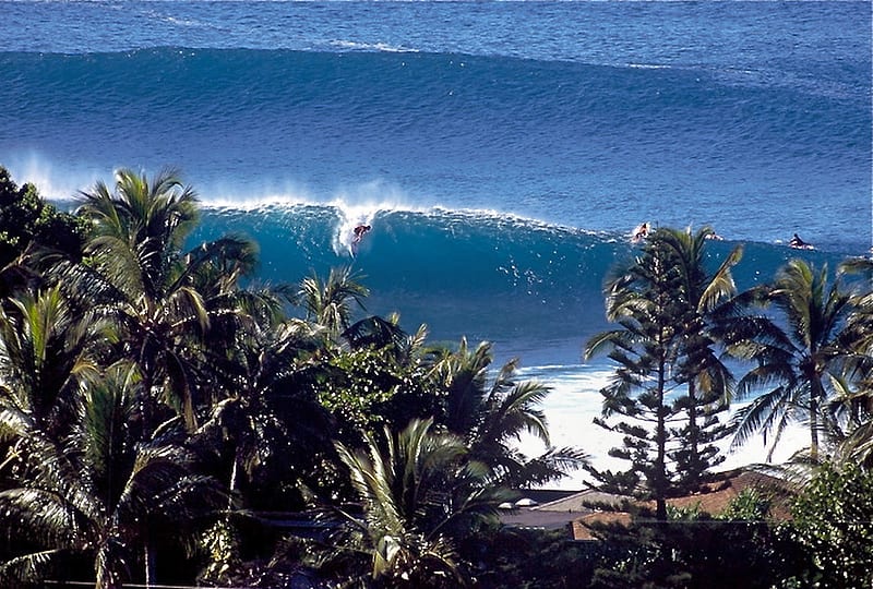 Ten, Perched - Surfer