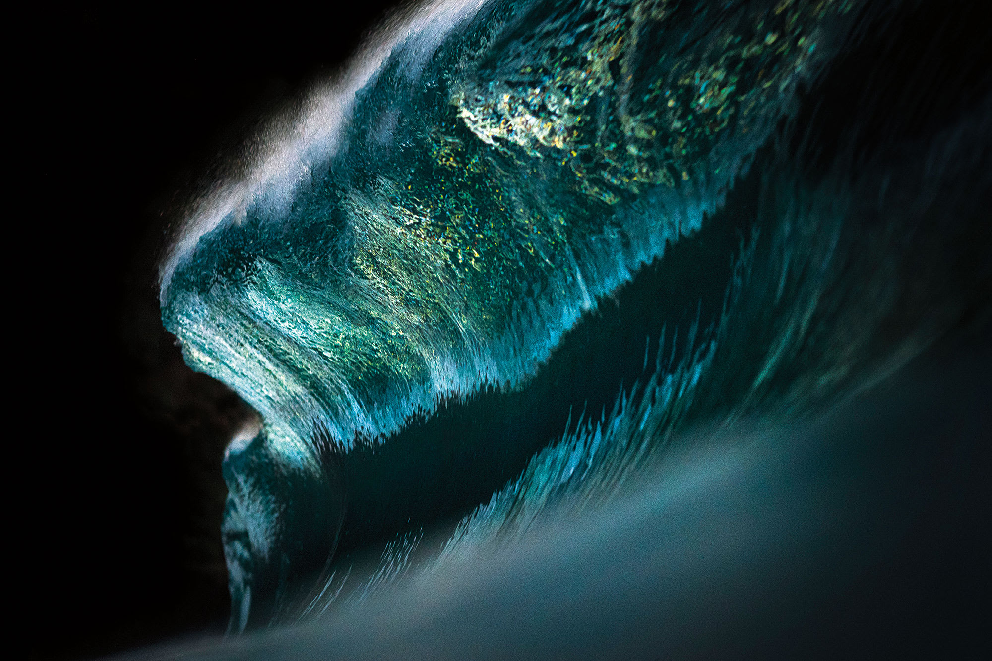 The 20 Best Surf Photos from 2019 - Surfer