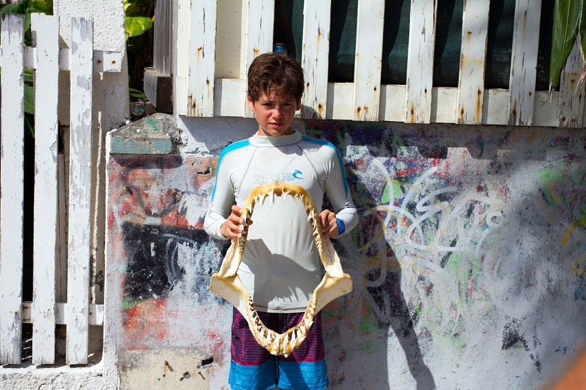 Jeremy Flores Addresses The Reunion Island Shark Situation - Surfer