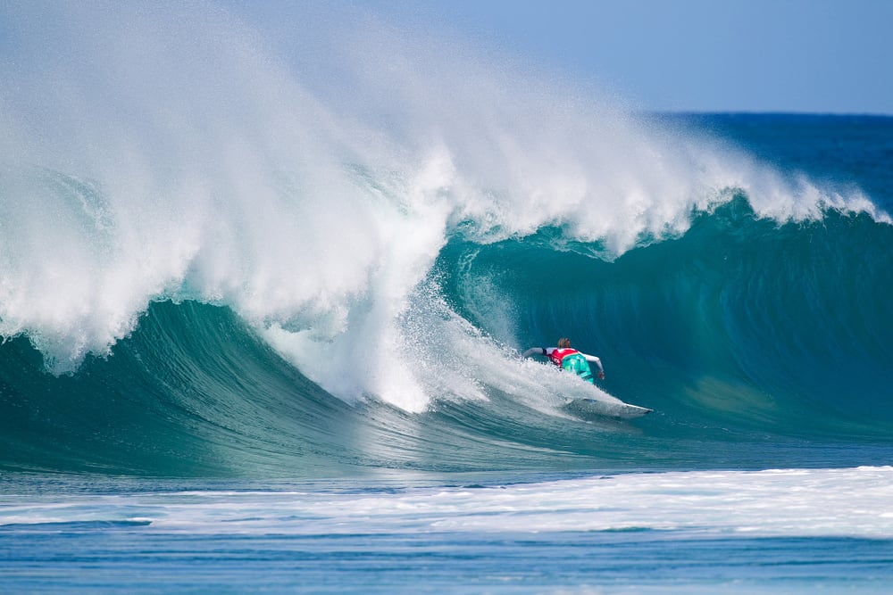 The Ambassador - Surfer