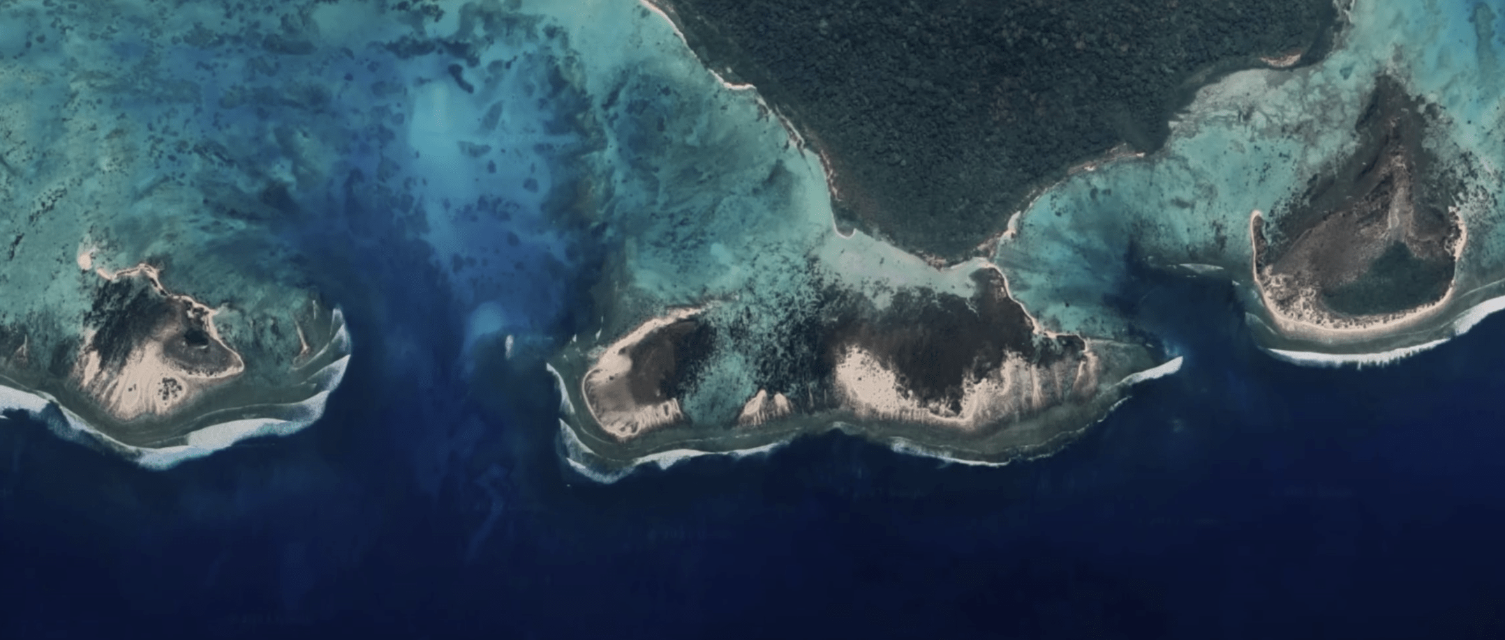 Big Wave Surfer Shane Dorian Posts Stem Cell Update and Mental Backdoor ...