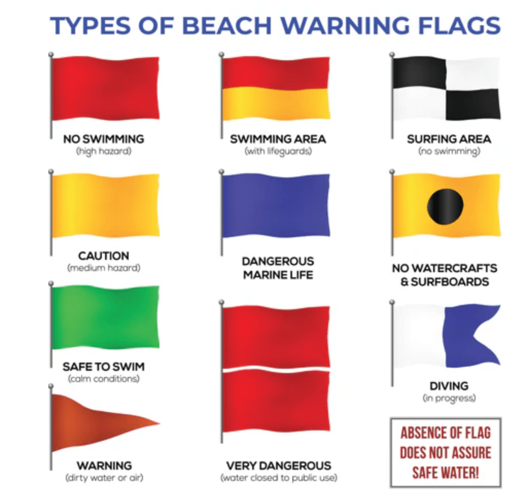 A Surfer’s Guide to Lifeguard Signals and Beach Flags - Surfer