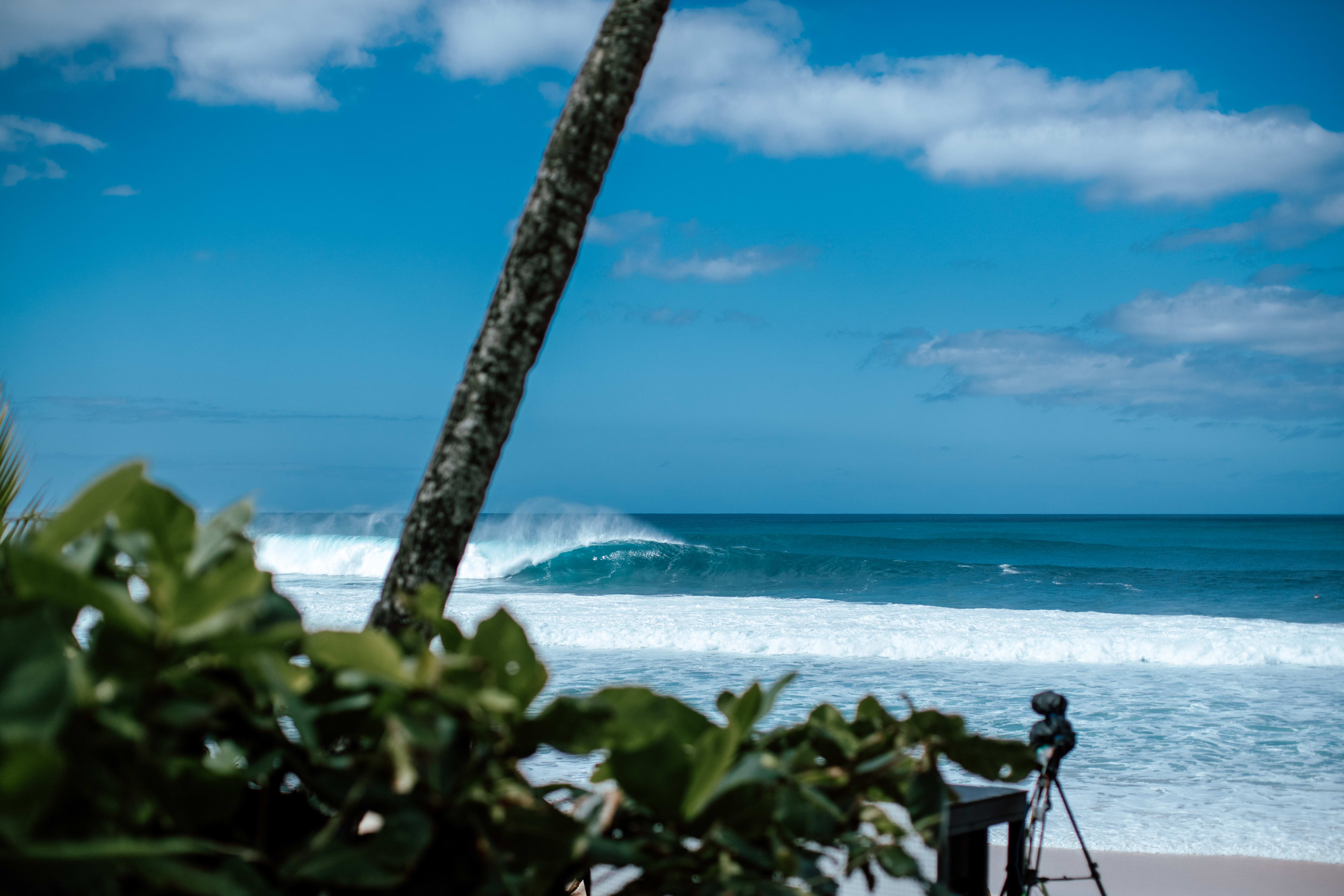 Jamie O’Brien Surfs Backwash Chaos at Pipeline (Watch) - Surfer