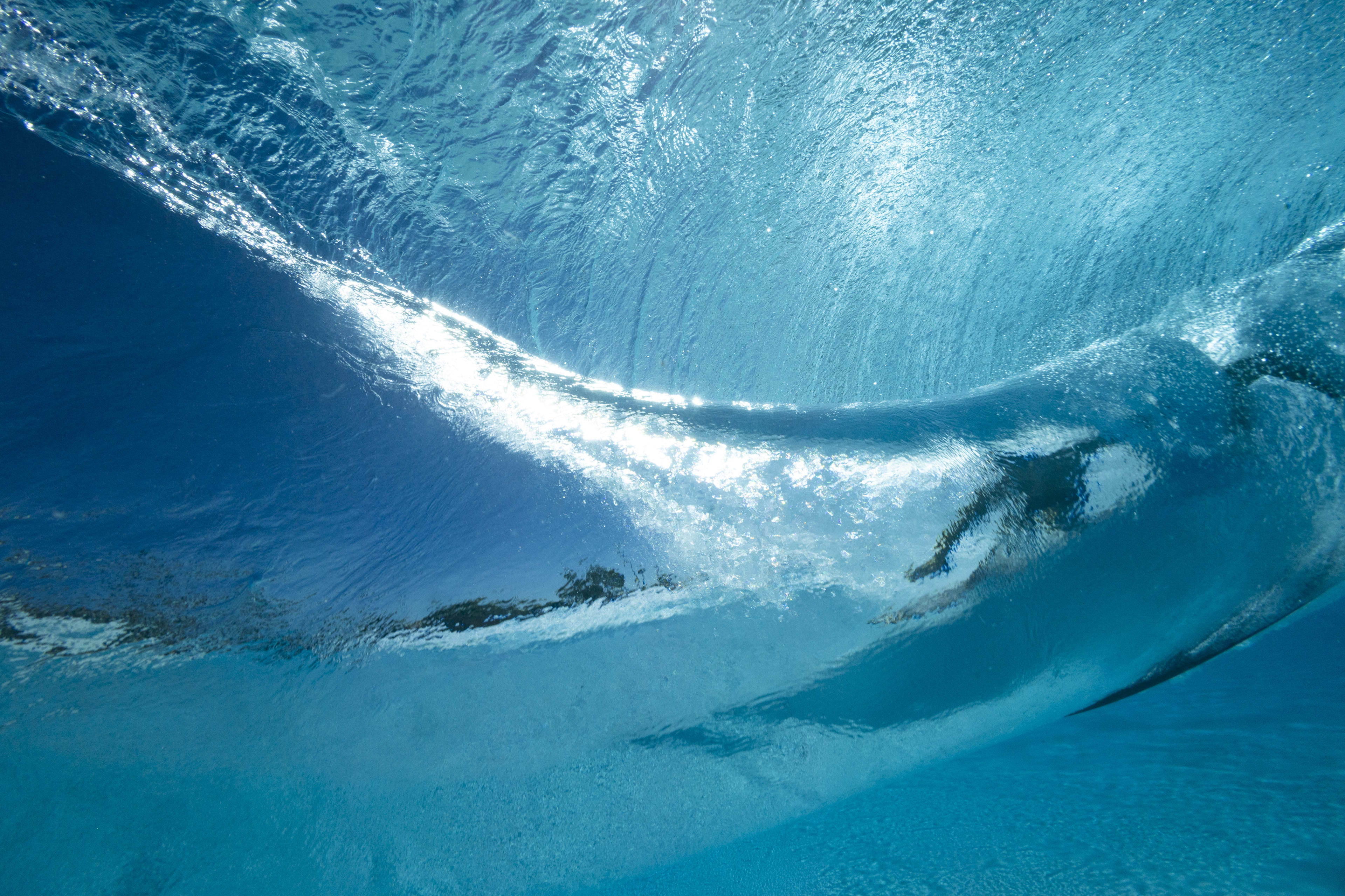 Palm Springs Surf Club for Dummies - Surfer