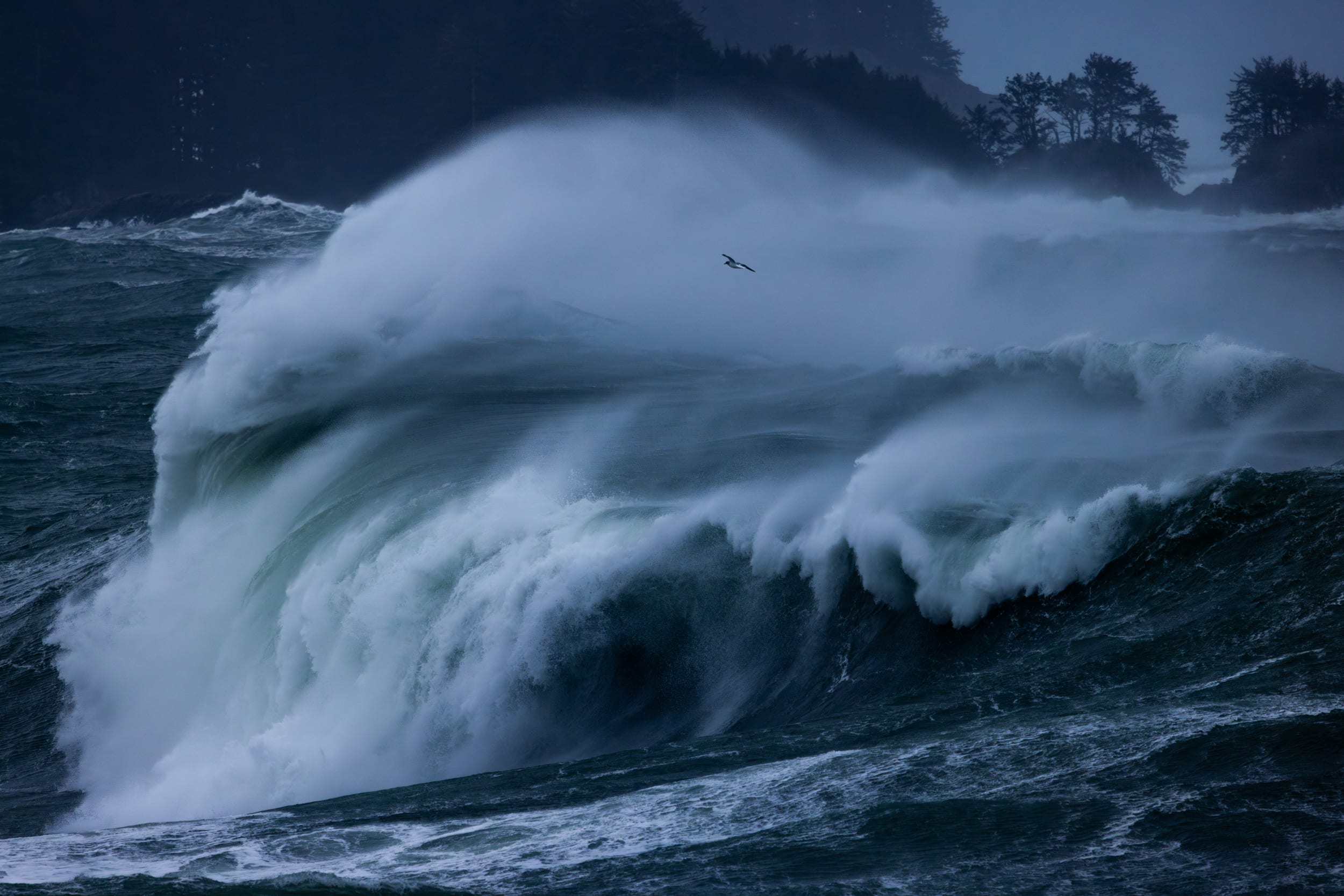 Winter Surf Pumps On Canada's West Coast (Photos) - Surfer