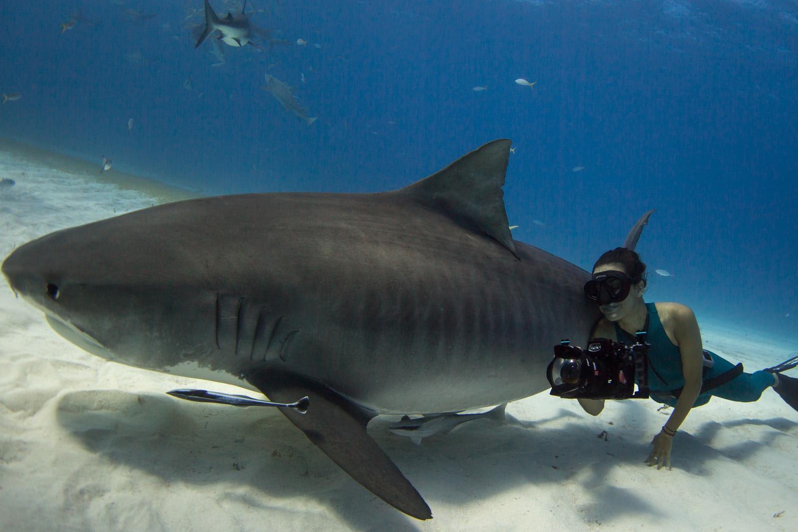 Near Fatal Shark Attack Caught On Film - Surfer