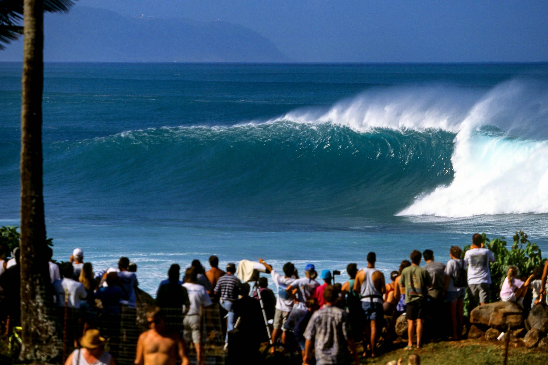 How Lifeguard and Surfer Eddie Aikau Became a Hawaiian Icon - Surfer