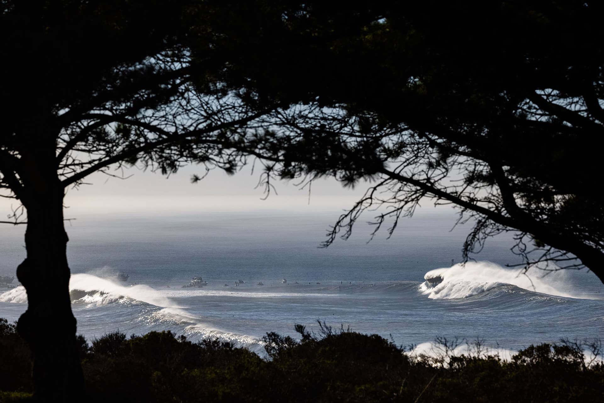 Memories of Mavericks (Gallery) - Surfer