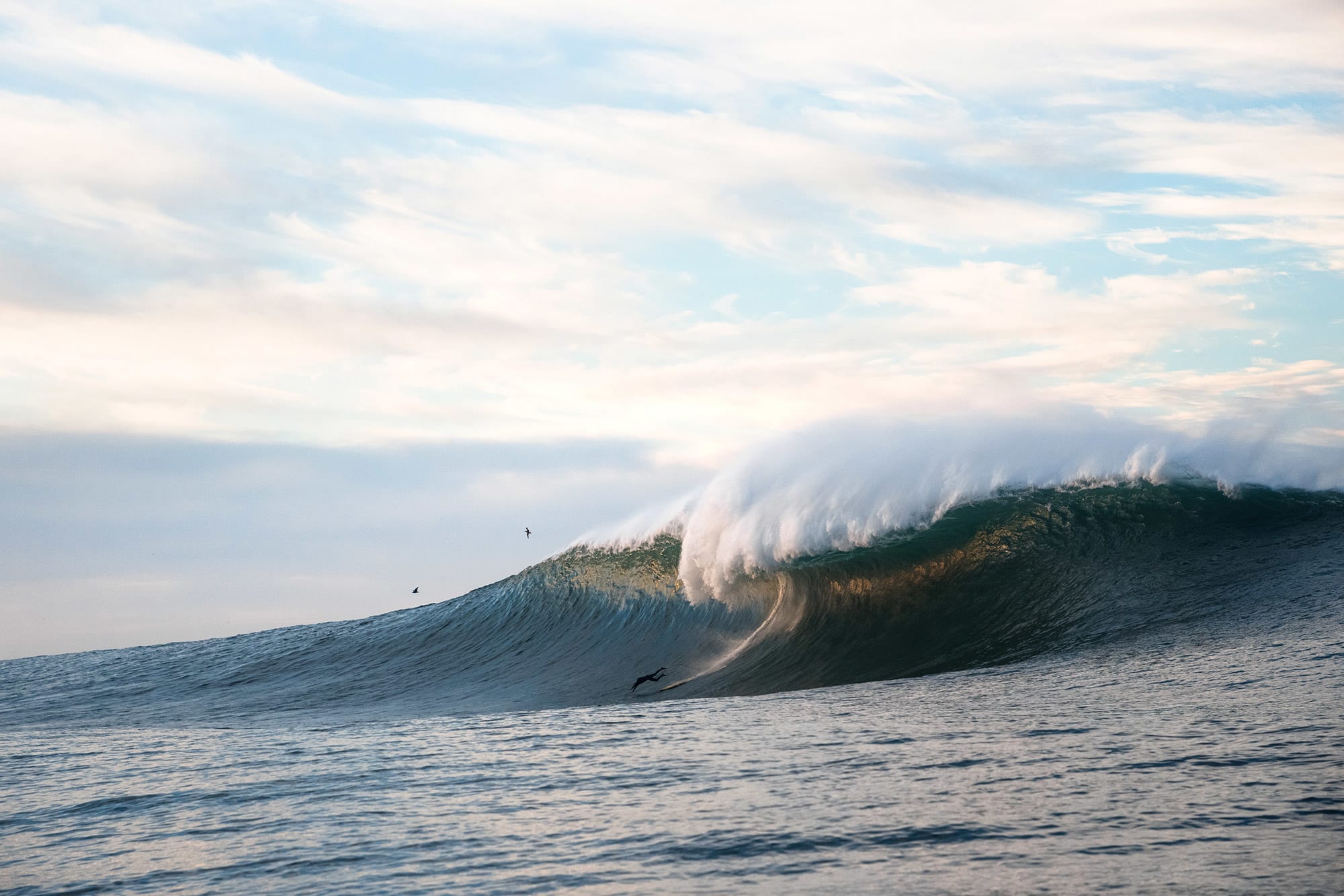Memories of Mavericks (Gallery) - Surfer