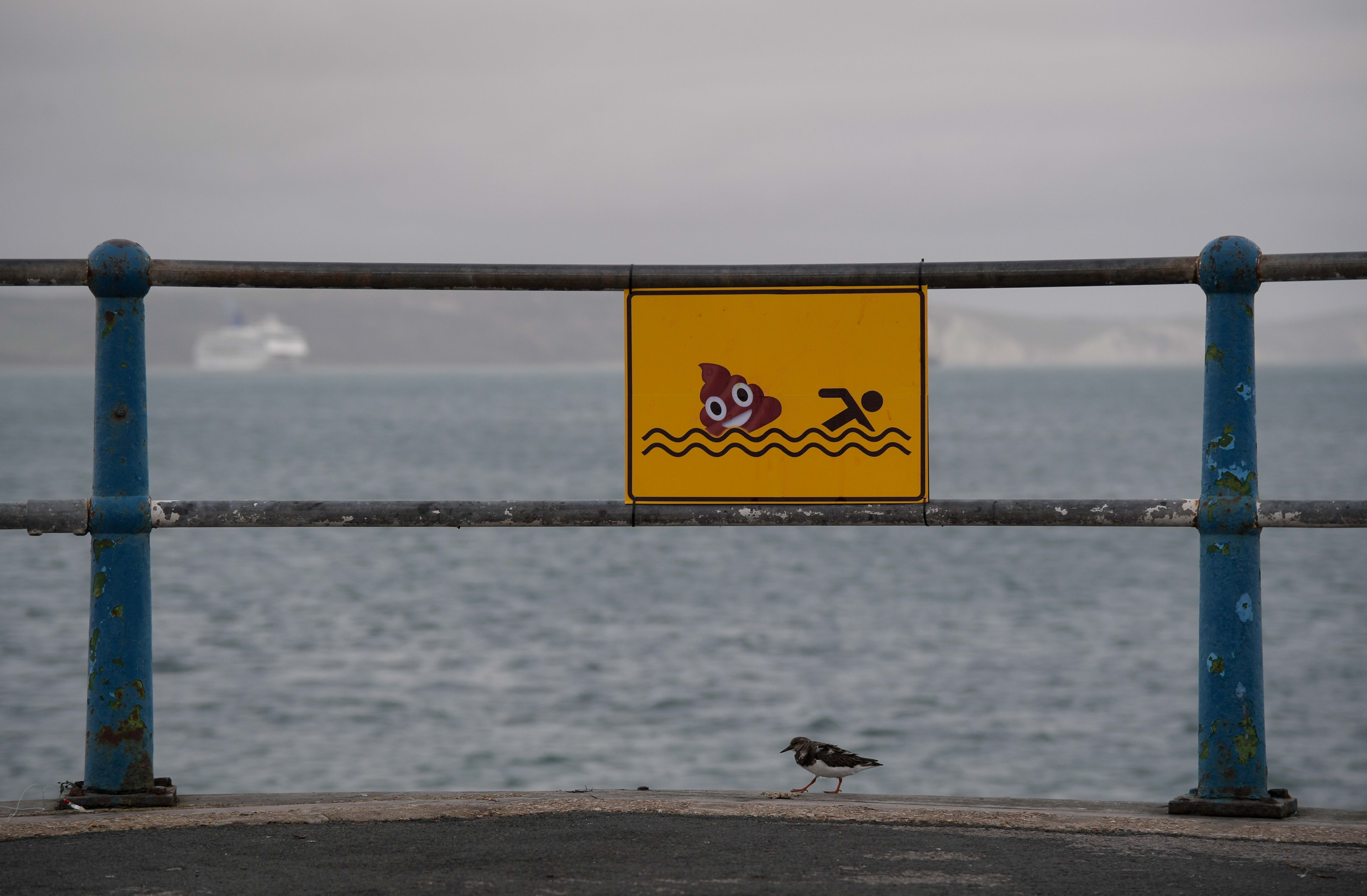 Poop Is Good for the Ocean, Scientists Say - Surfer