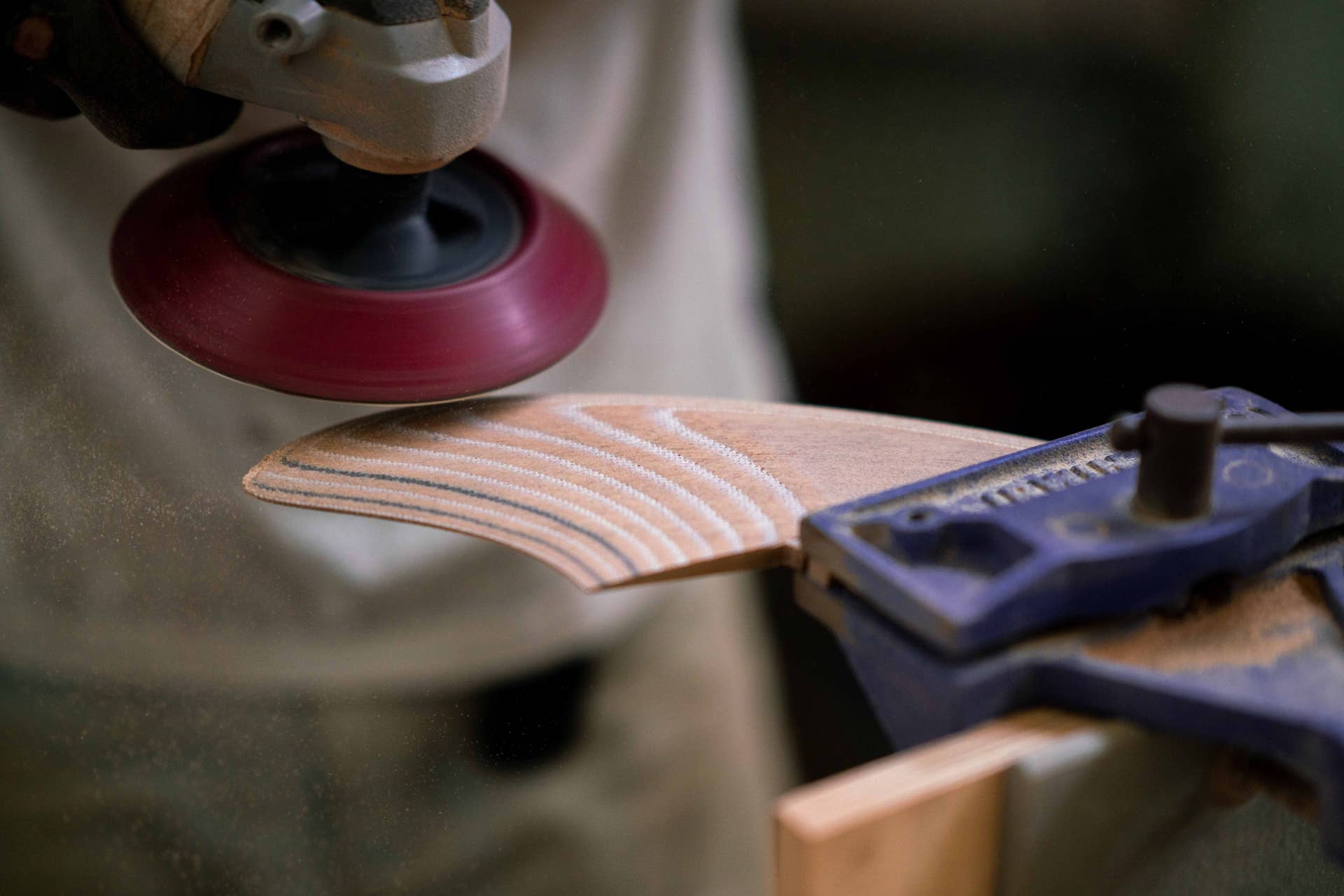 The Most Beautiful Fins In The World