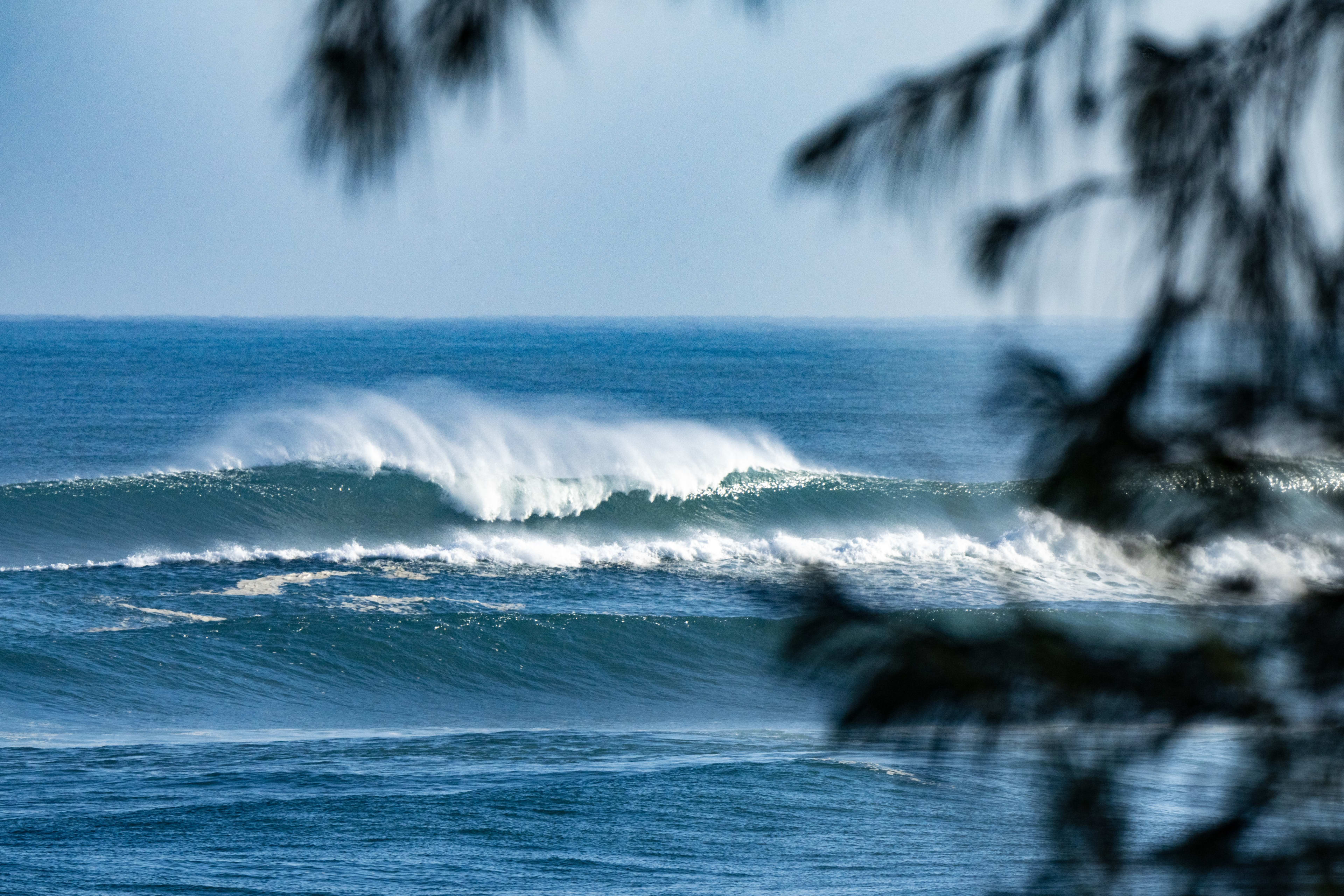 WSL's La Marginal Surfing Pro Crowns Winners in Puerto Rico - Surfer