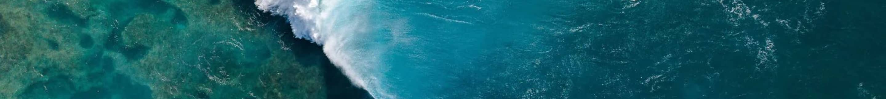 Articles by Dibi Fletcher - Surfer