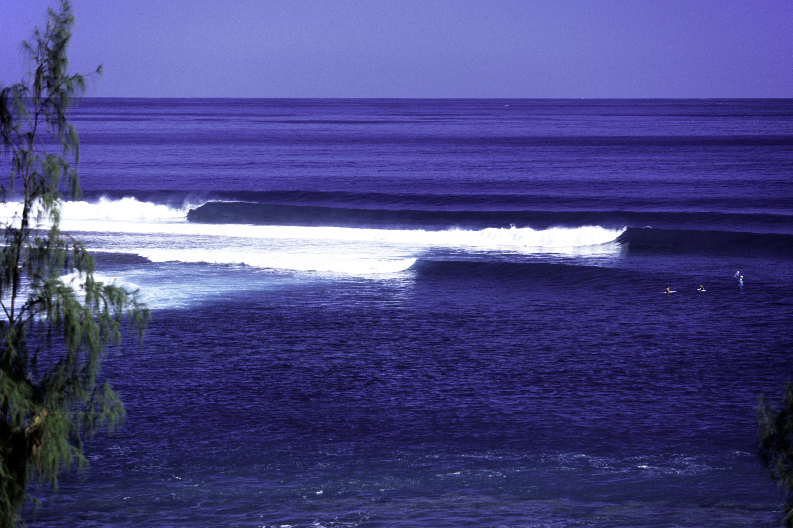 8 of the World’s Most Shark-Infested Waters - Surfer