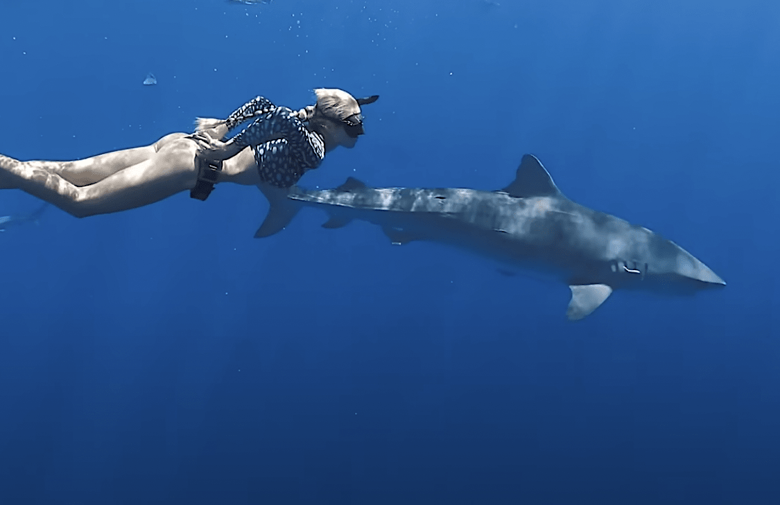 Reality TV Meets Sharks: Netflix’s New Series Looks Wild - Surfer