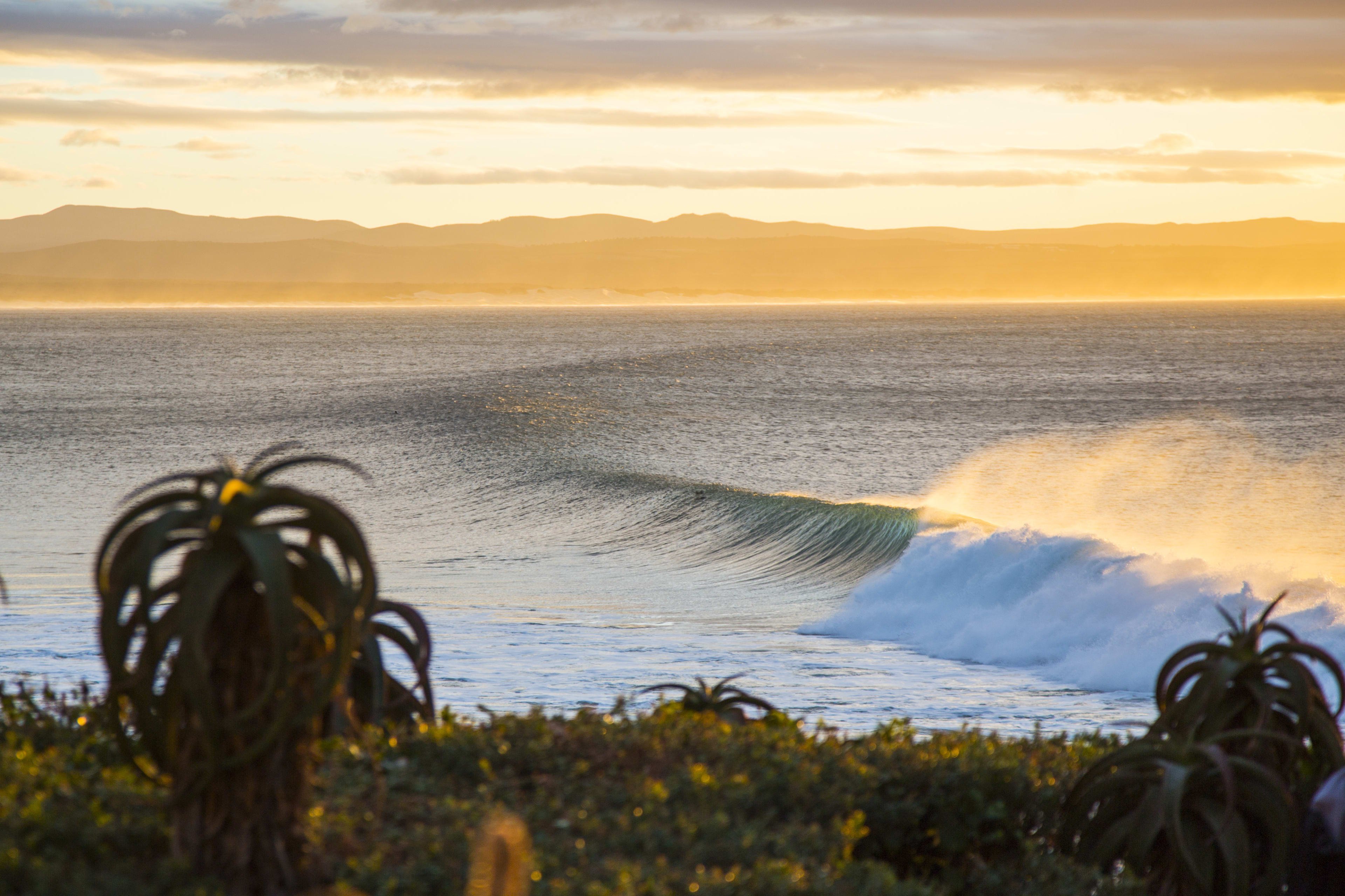 WSL Predictions for 2025, Via the SURFER Staff - Surfer