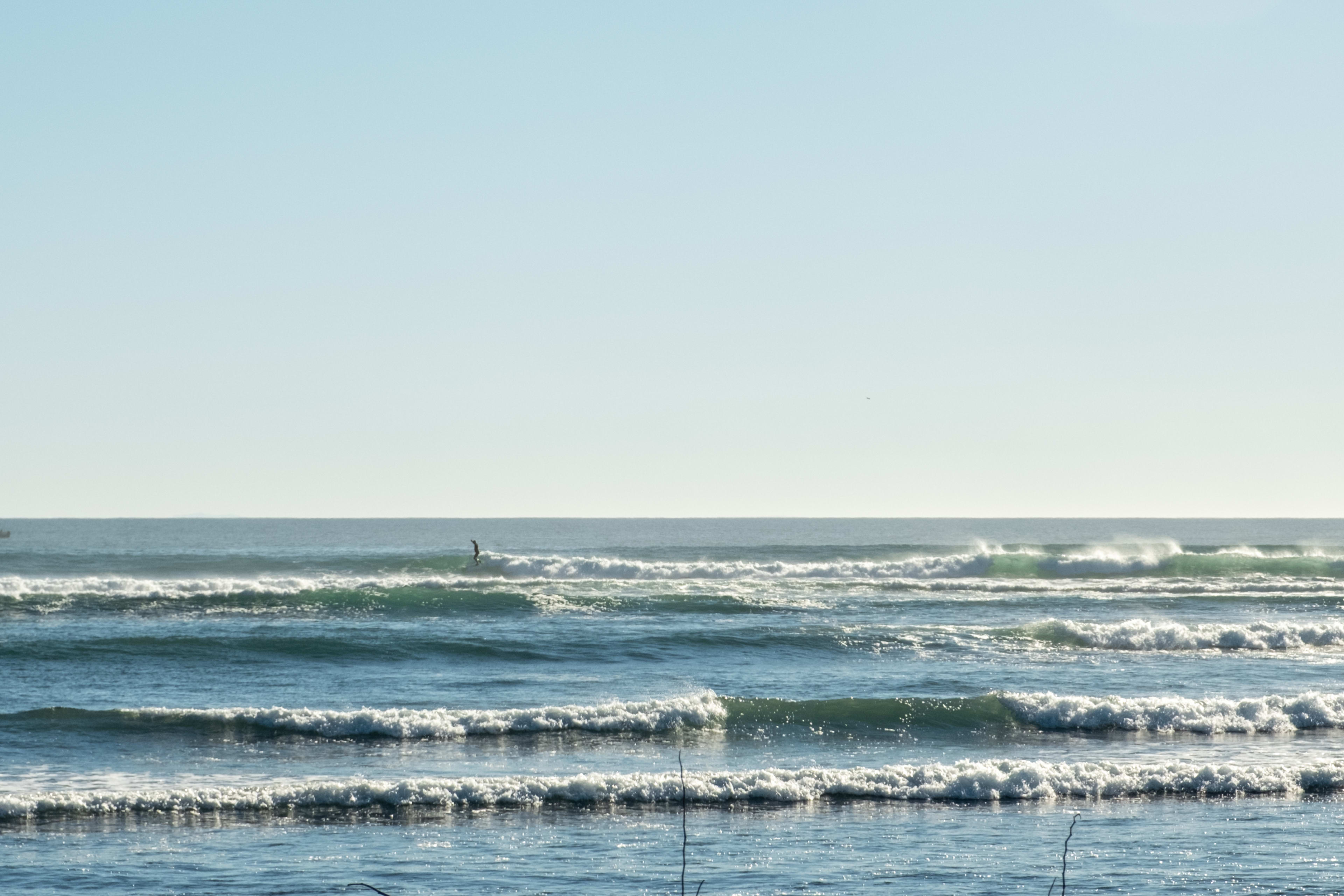 "The Gandalf Handoff" & Perfect Surf At Psilocybin Point - Surfer