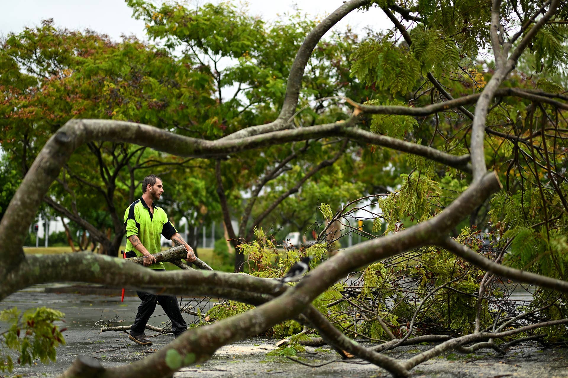 Tropical Storm Wreaks Australian Beaches and Infrastructure - Surfer