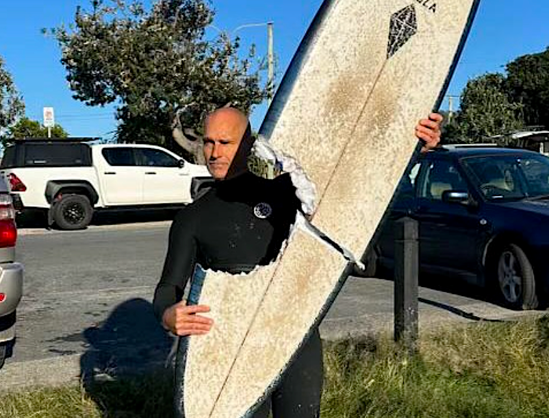 Surfer Catapulted by Great White Shark, Board ‘Exploded’ (Video) - Surfer